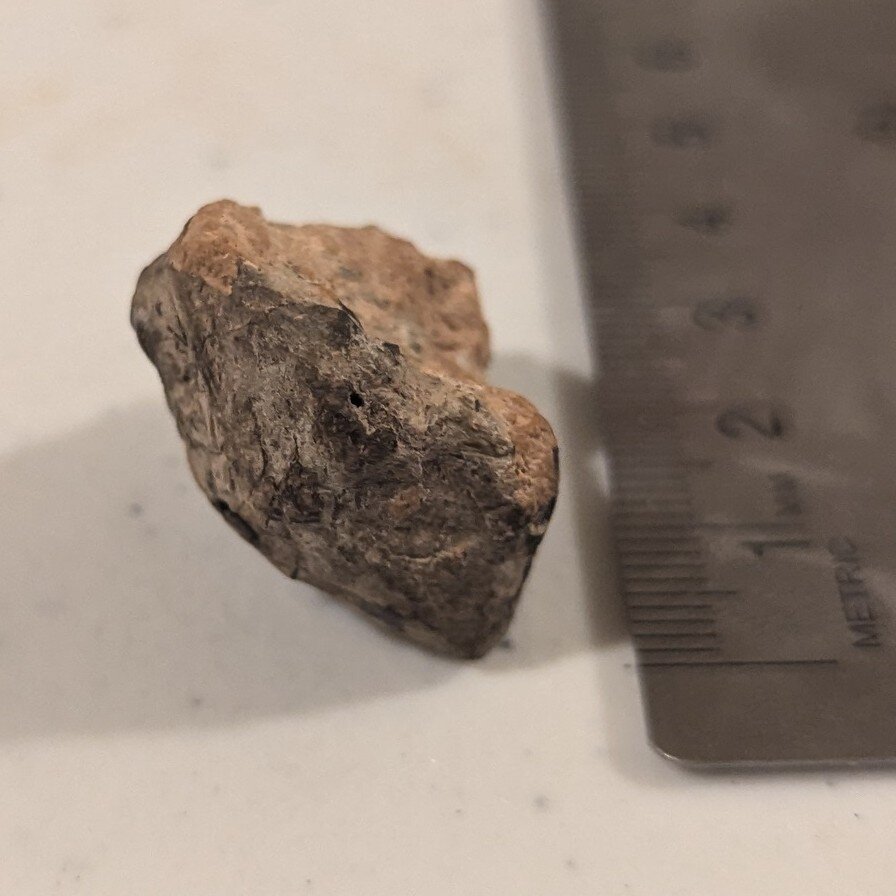 Can you help me ID these fossils? - Fossil ID - The Fossil Forum