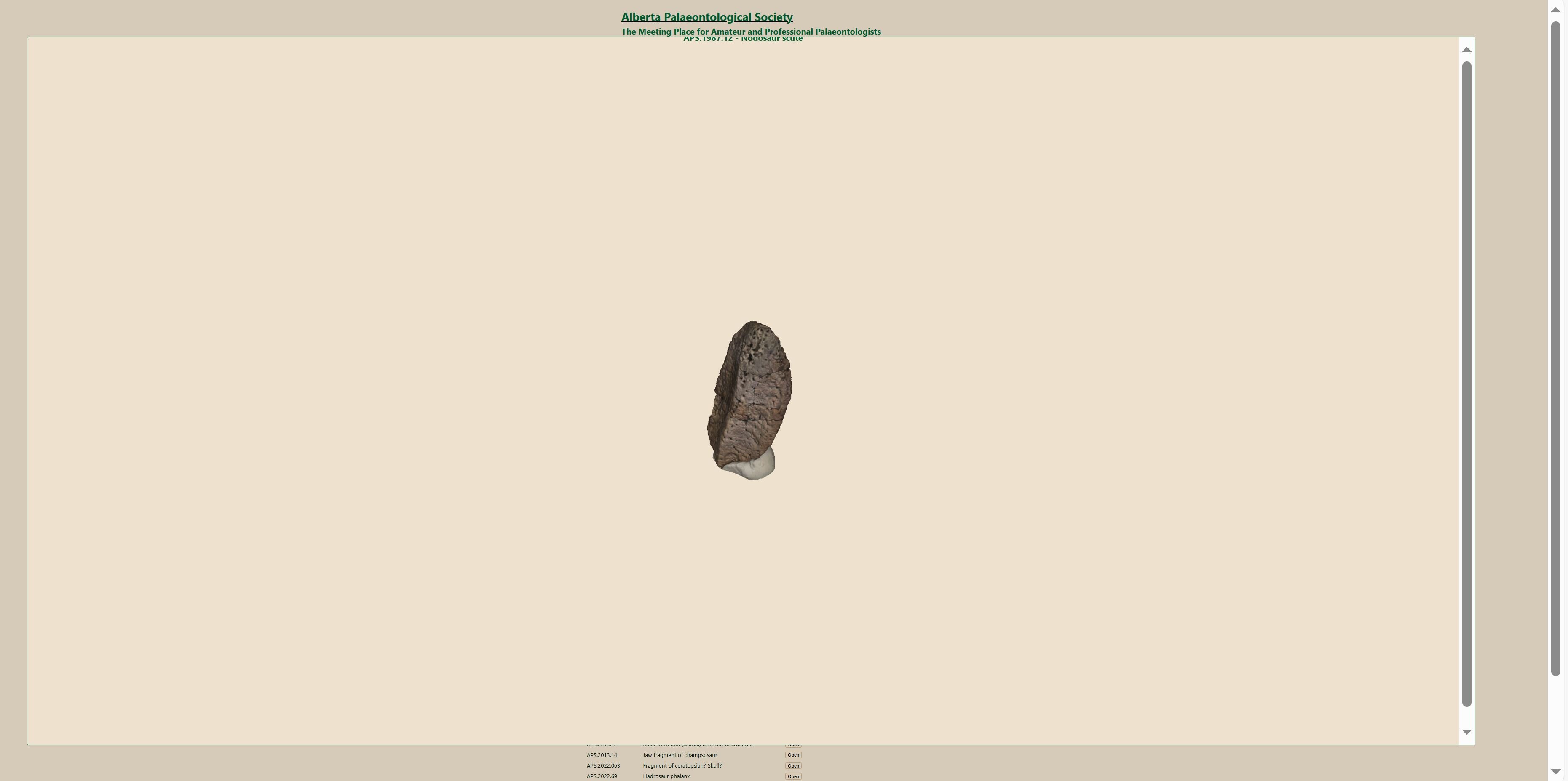 Alberta Paleontological Society fossil collection scans! - General ...