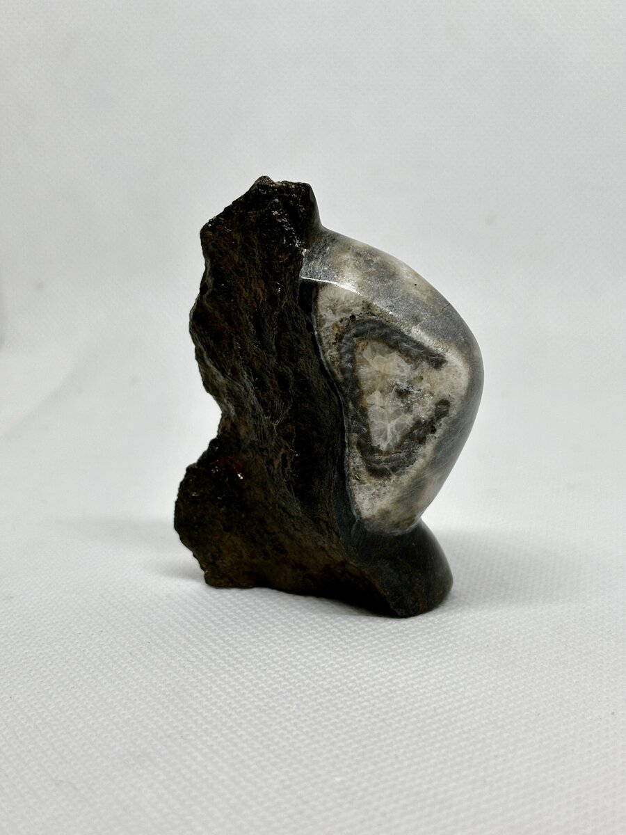 Athyris Glabristria Brachiopod - Carboniferous - The Fossil Forum