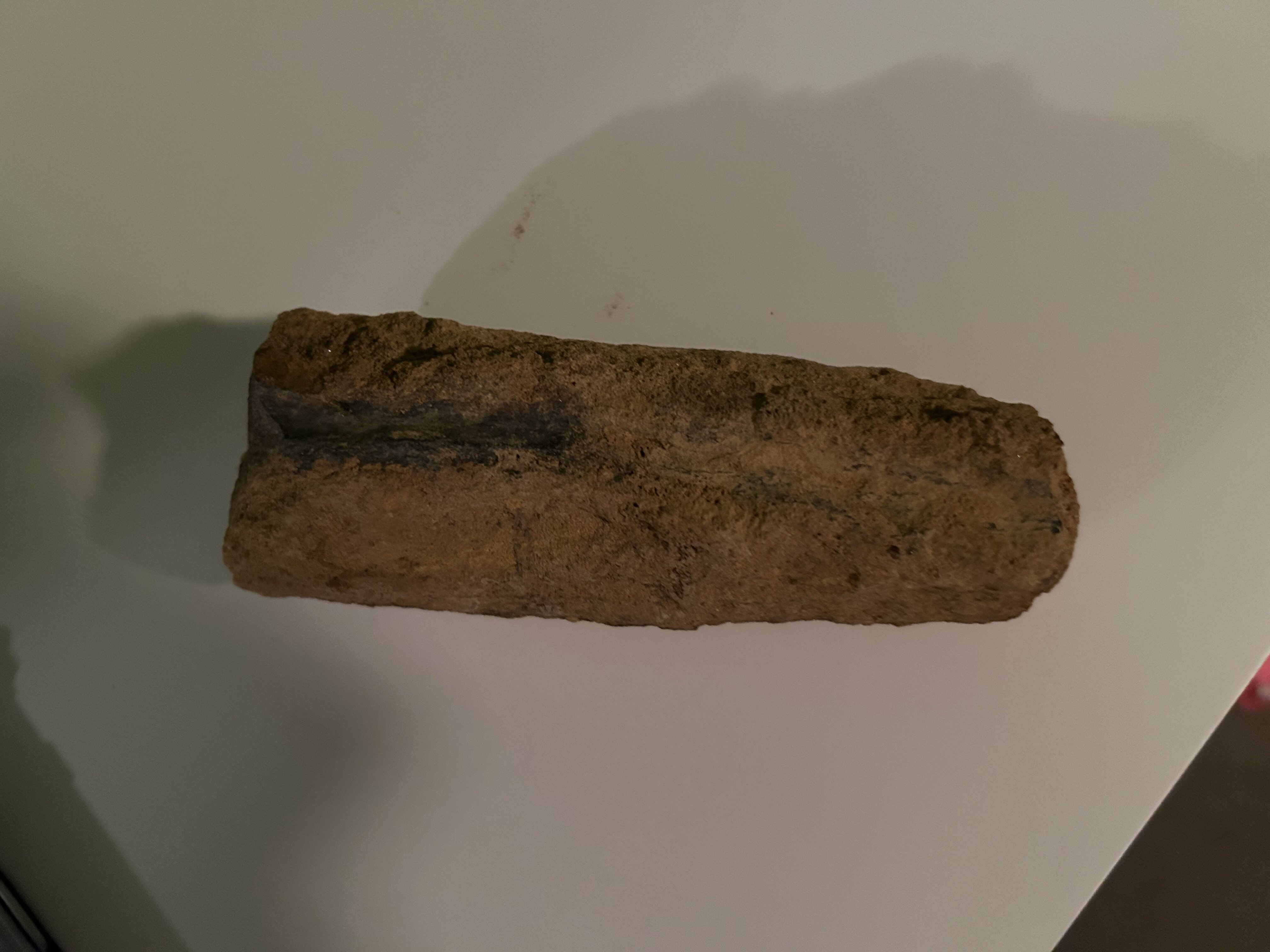 Odd possible fossil - Fossil ID - The Fossil Forum