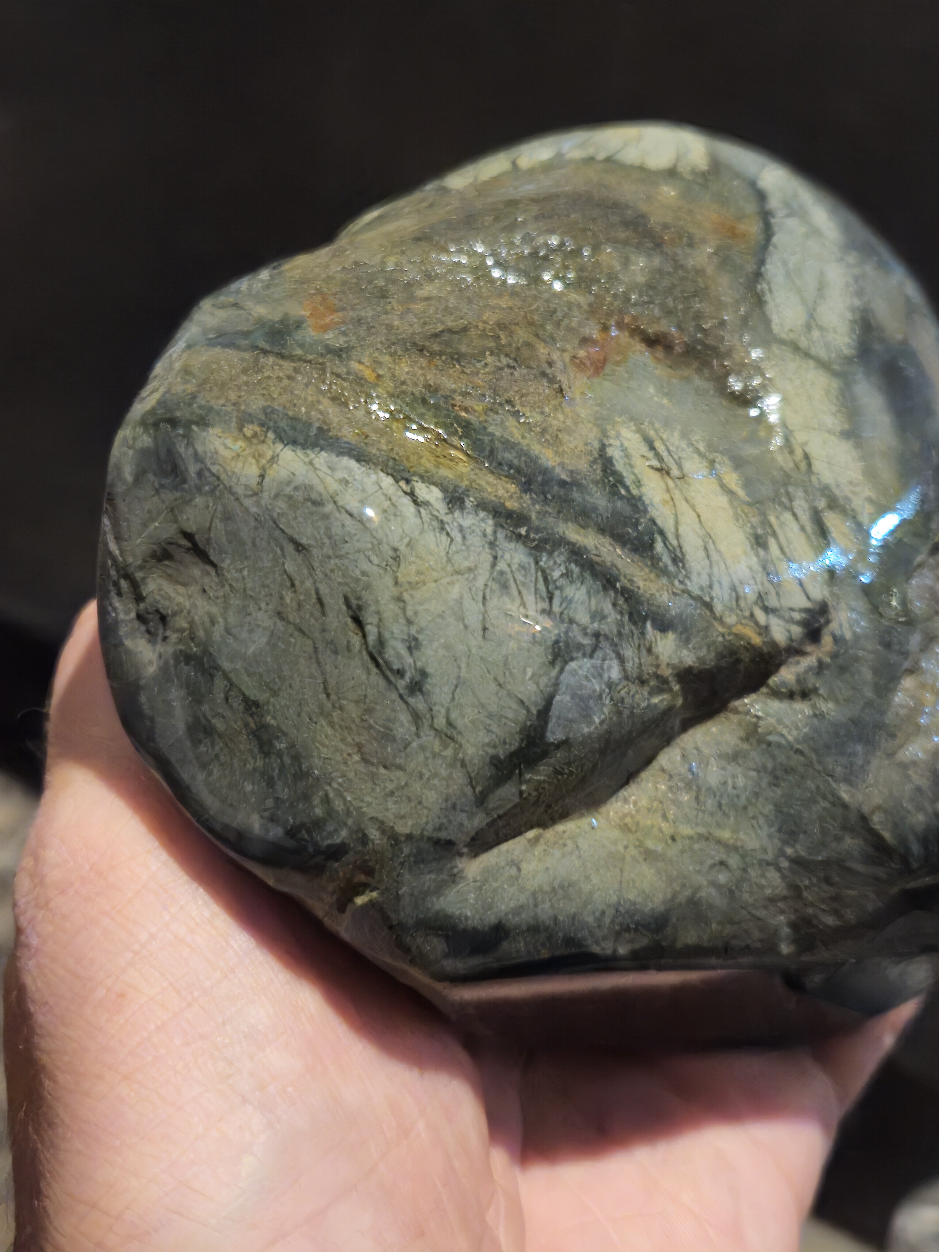 Meta basalt? All I see is turtle head. - Fossil ID - The Fossil Forum