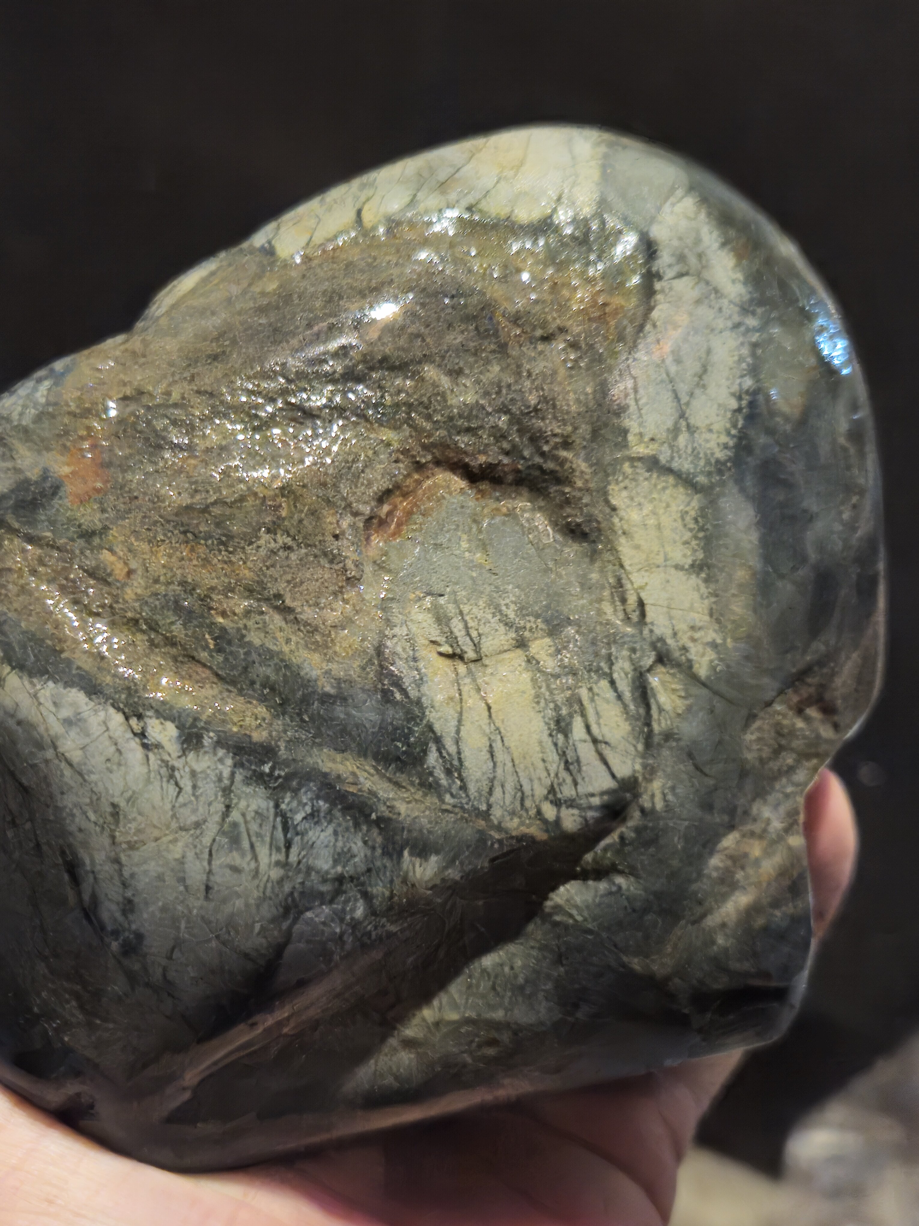 Meta basalt? All I see is turtle head. - Fossil ID - The Fossil Forum