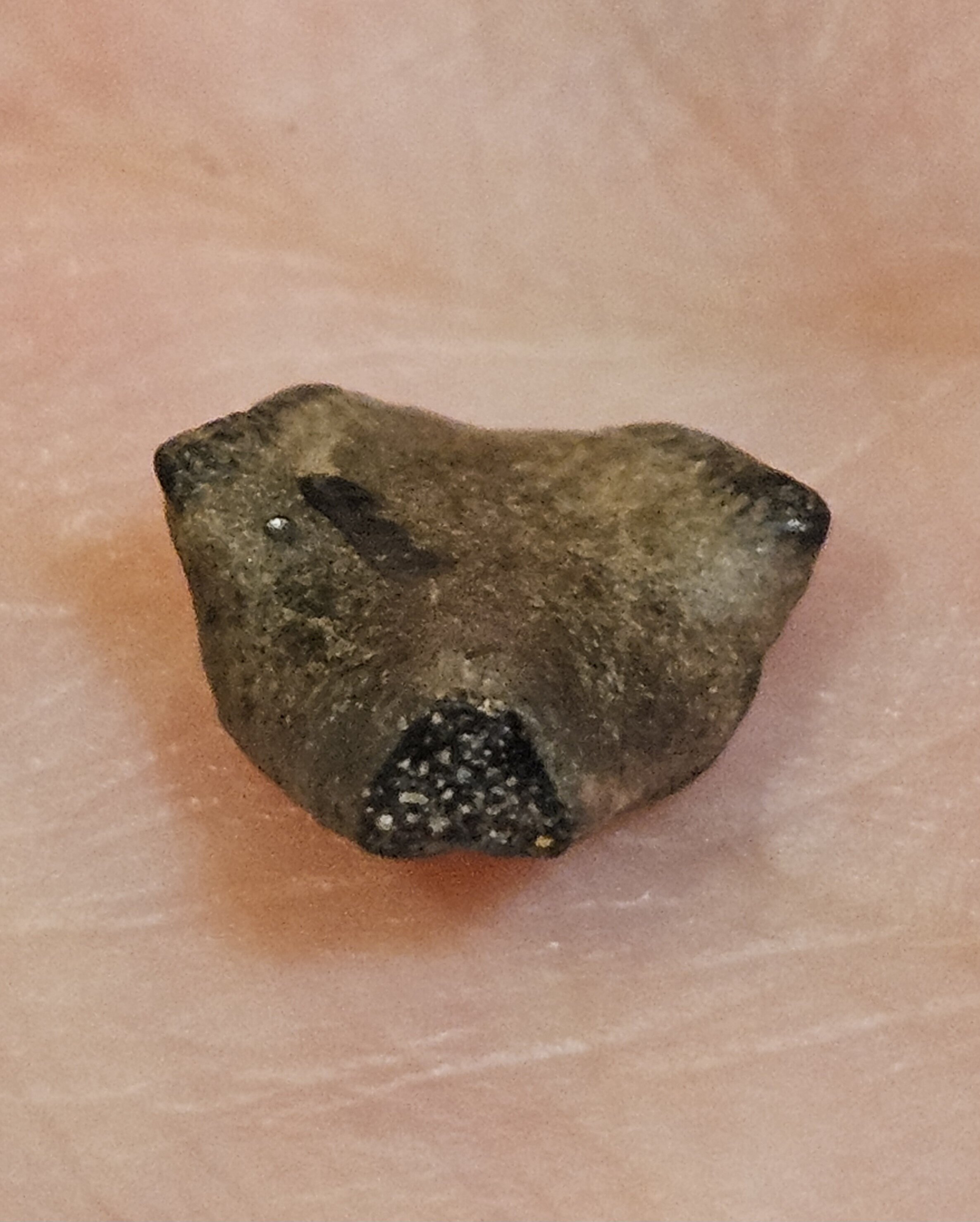 Any idea what this could be? Interesting shaped piece of what appears ...