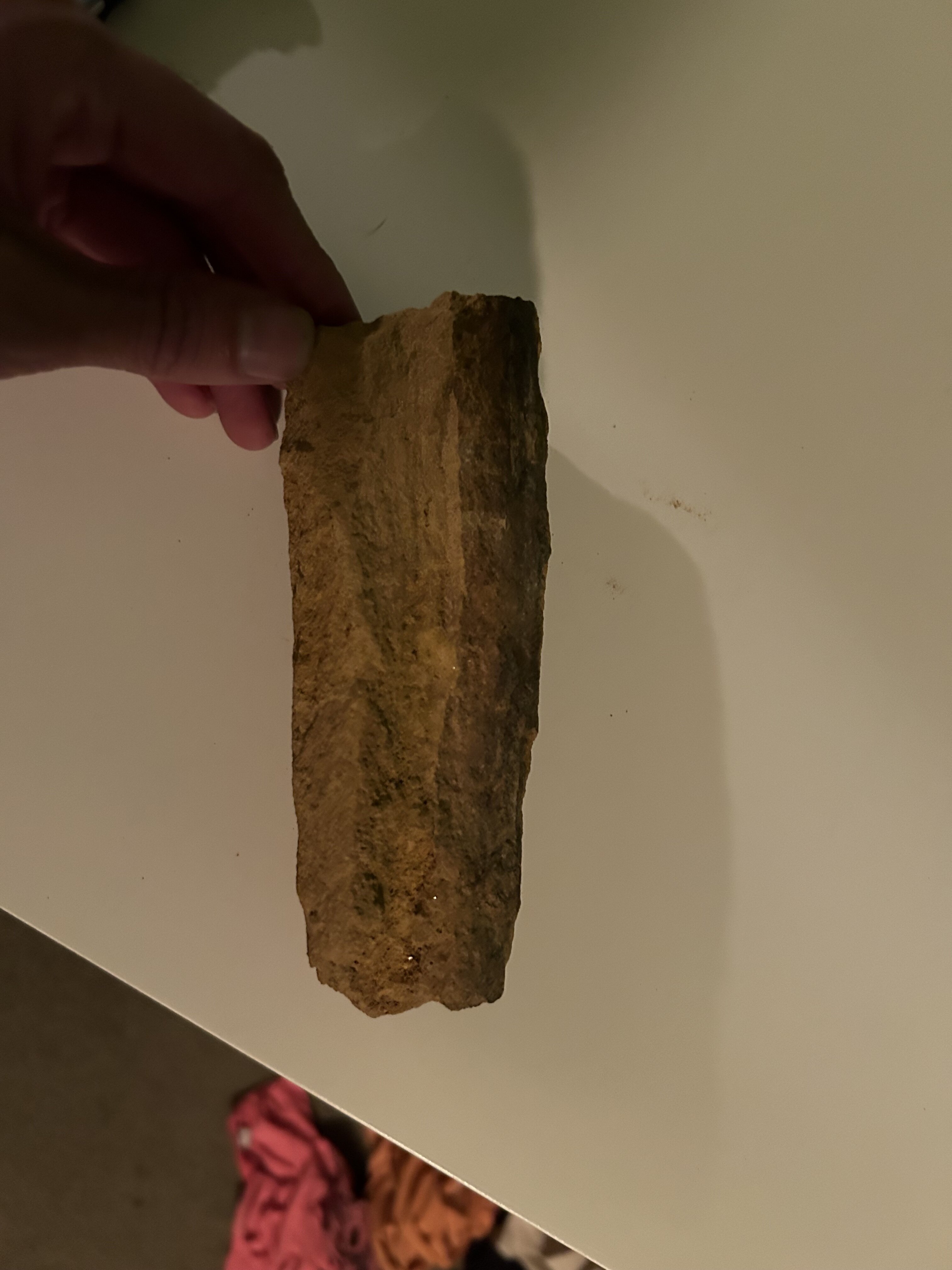 Odd possible fossil - Fossil ID - The Fossil Forum