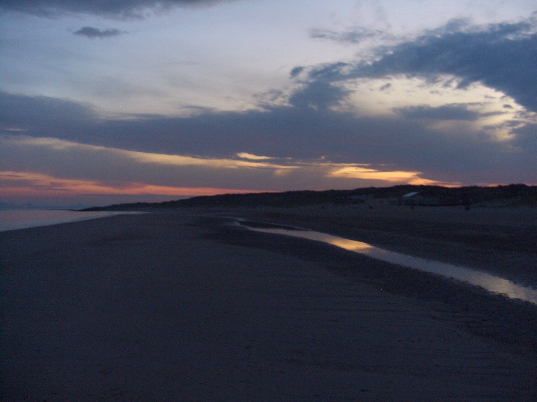 Two weeks at pleistocene beach - Fossil Hunting Trips - The Fossil Forum