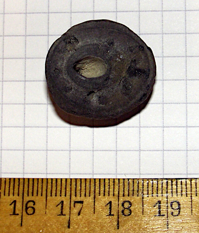 Ray dermal denticle? Fish tooth?? - Fossil ID - The Fossil Forum