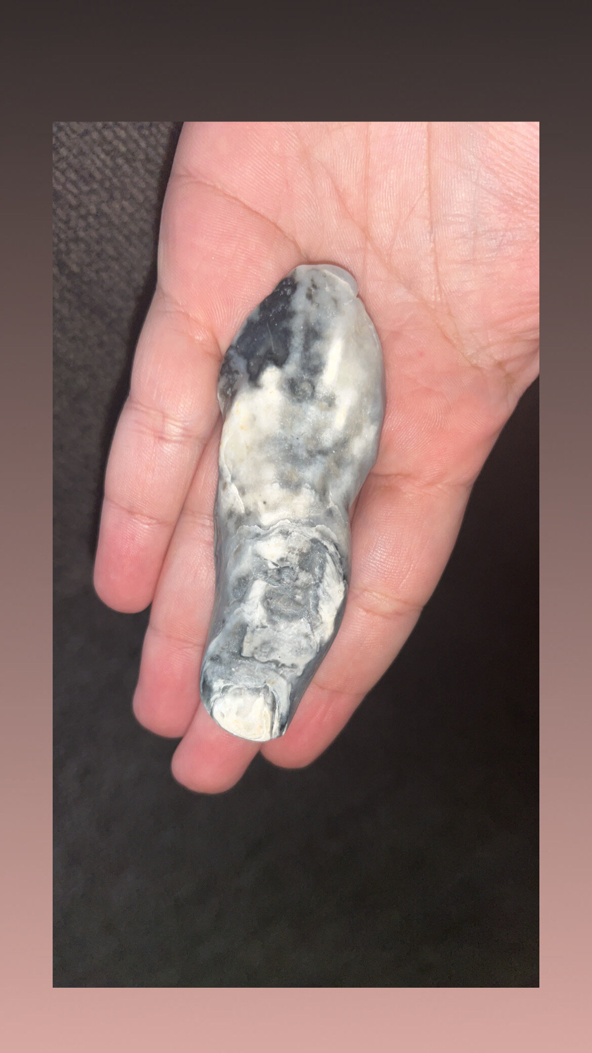 Finger shell? - Fossil ID - The Fossil Forum