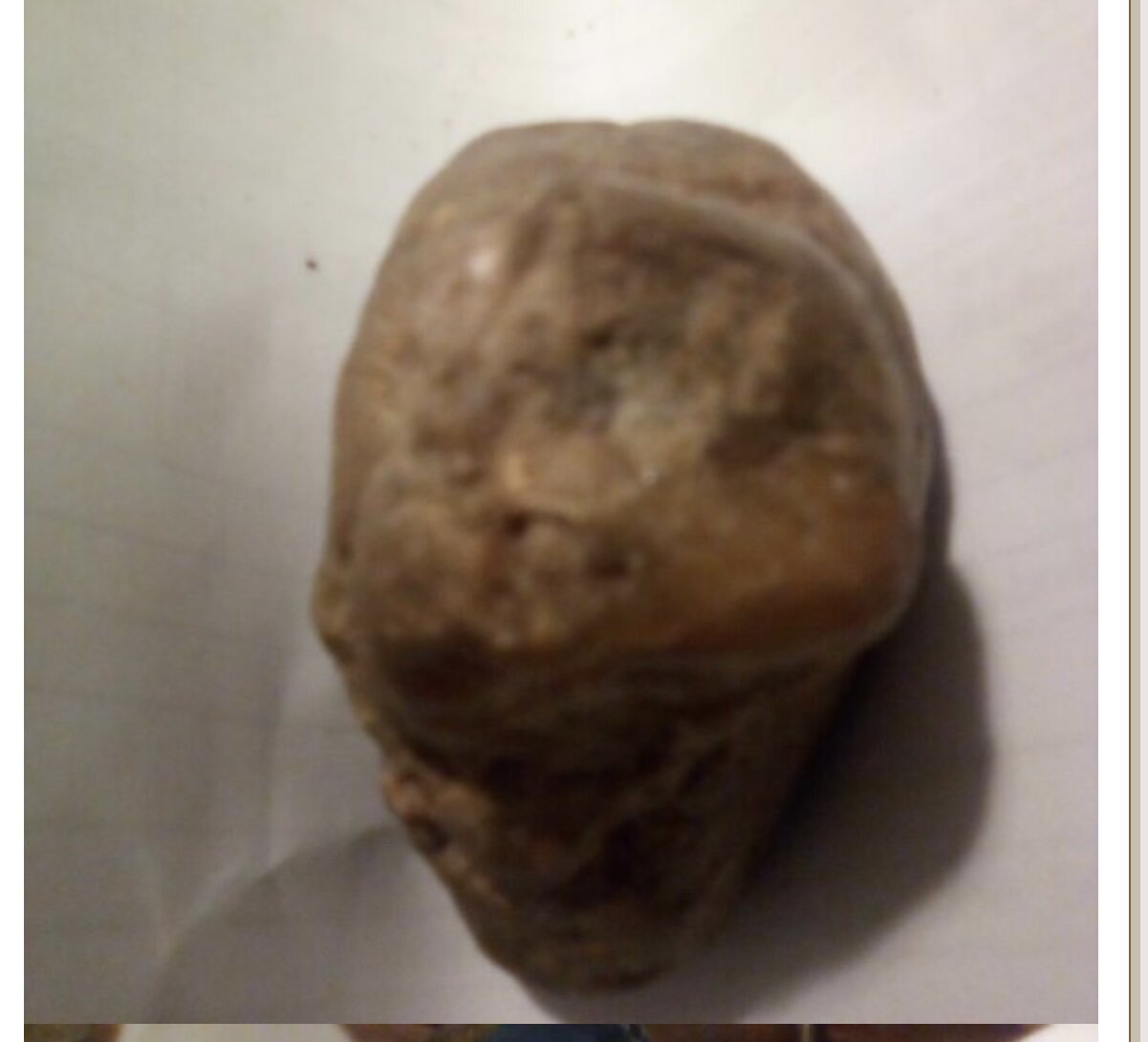 Fossilized Human heart found? - Fossil ID - The Fossil Forum