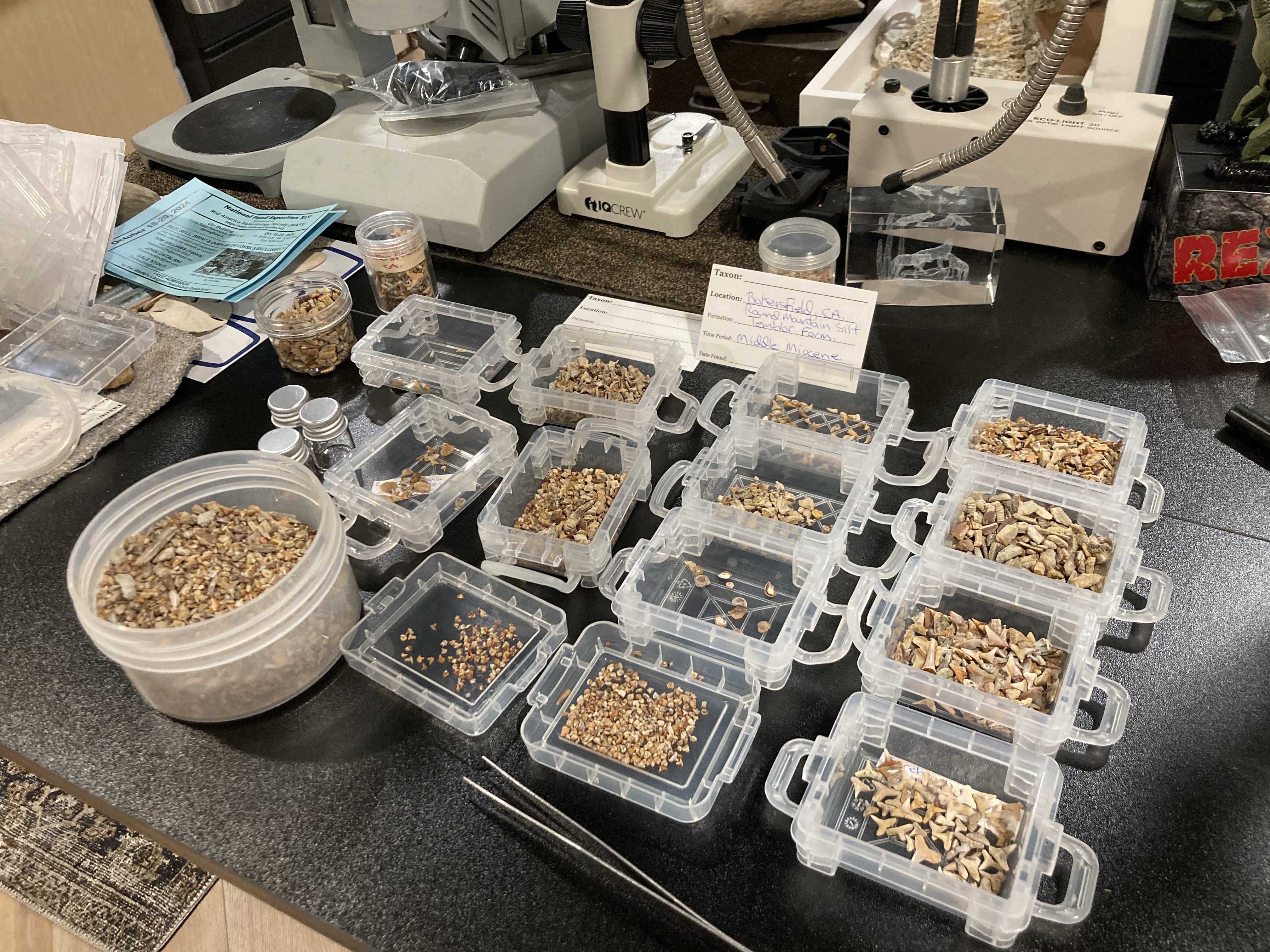 Recent Cretaceous microfossil sorting at the Field Museum of Natural ...