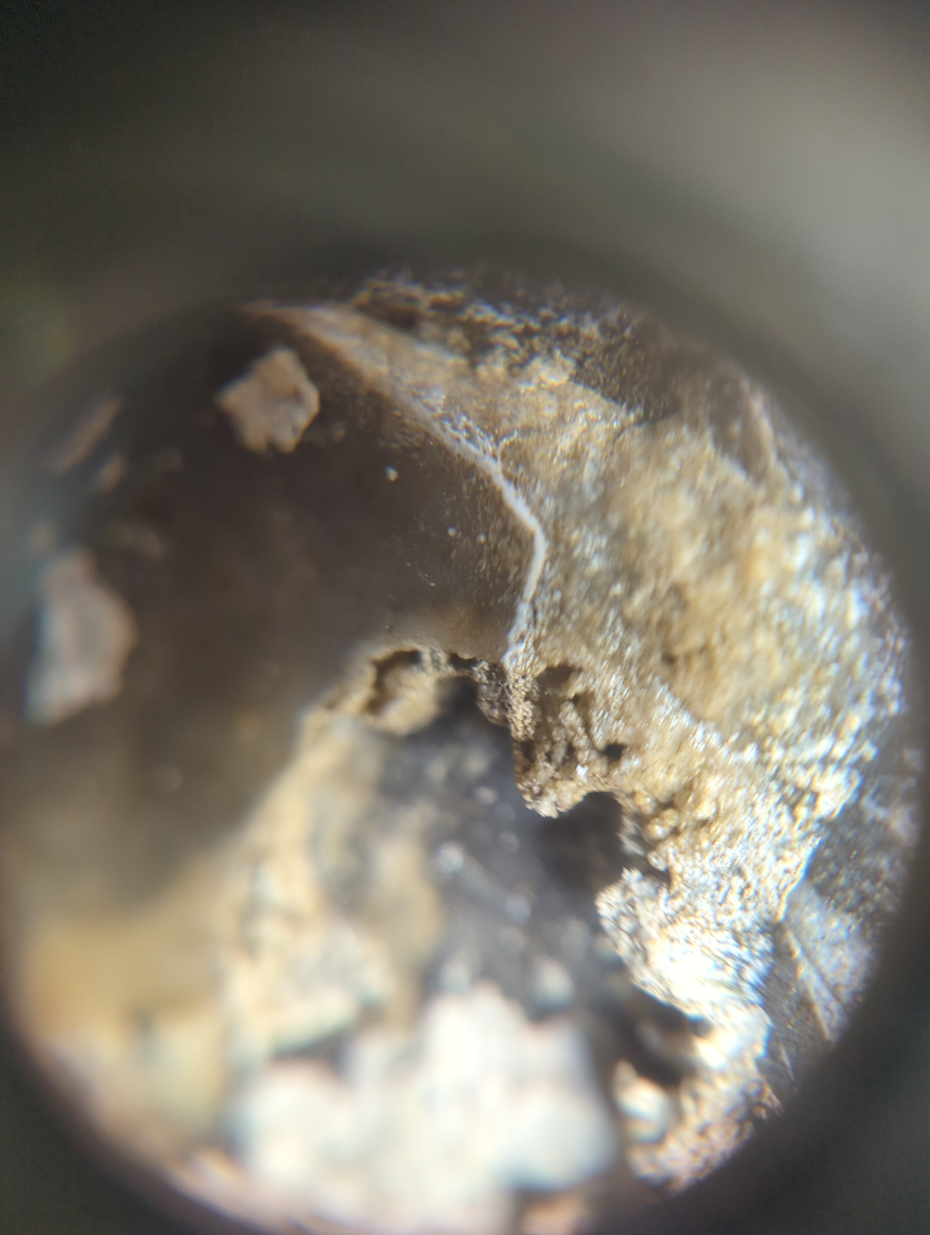 Conchoidal fracture or fossil? - Fossil ID - The Fossil Forum