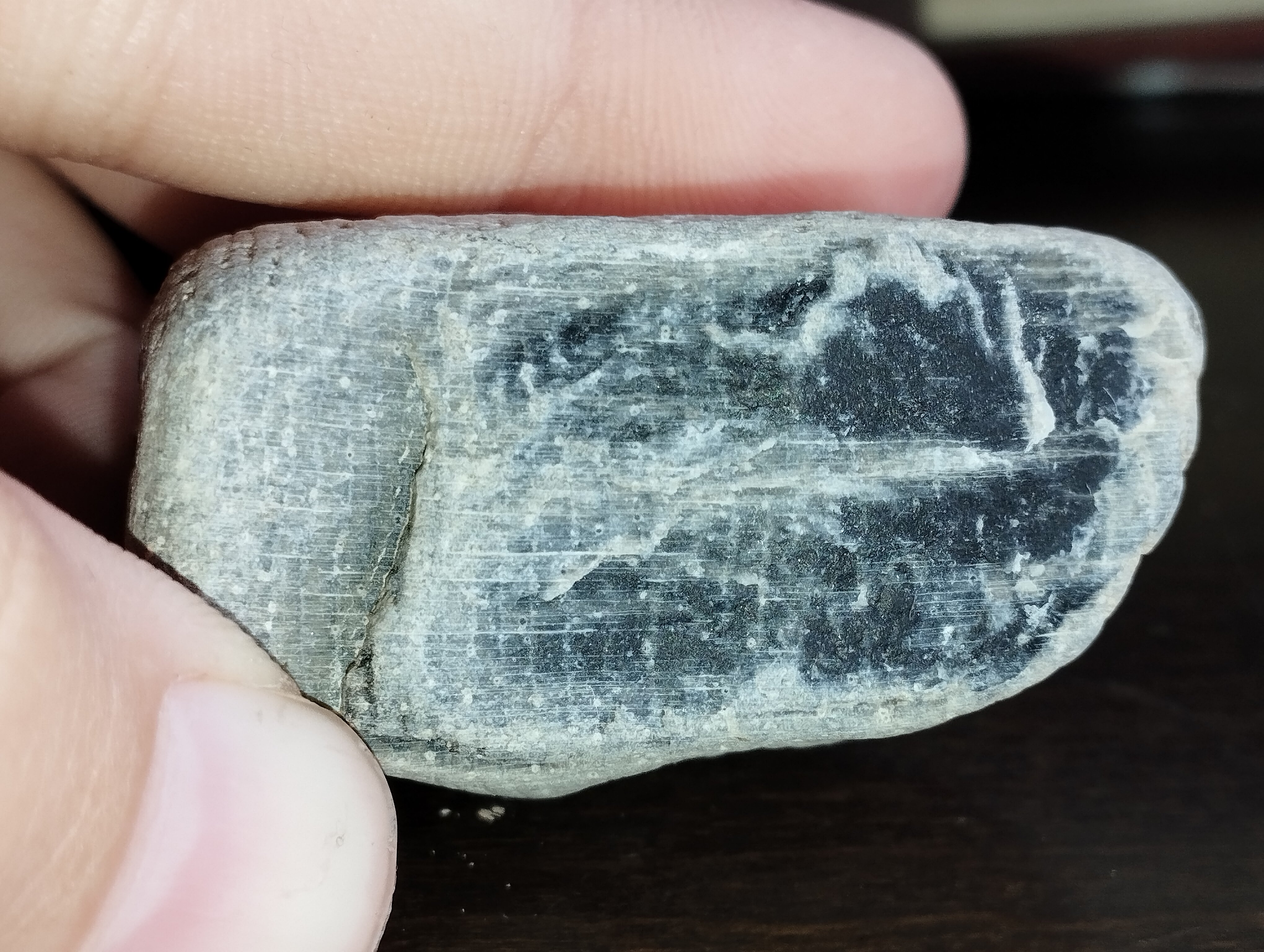 Petrified wood? - Fossil ID - The Fossil Forum
