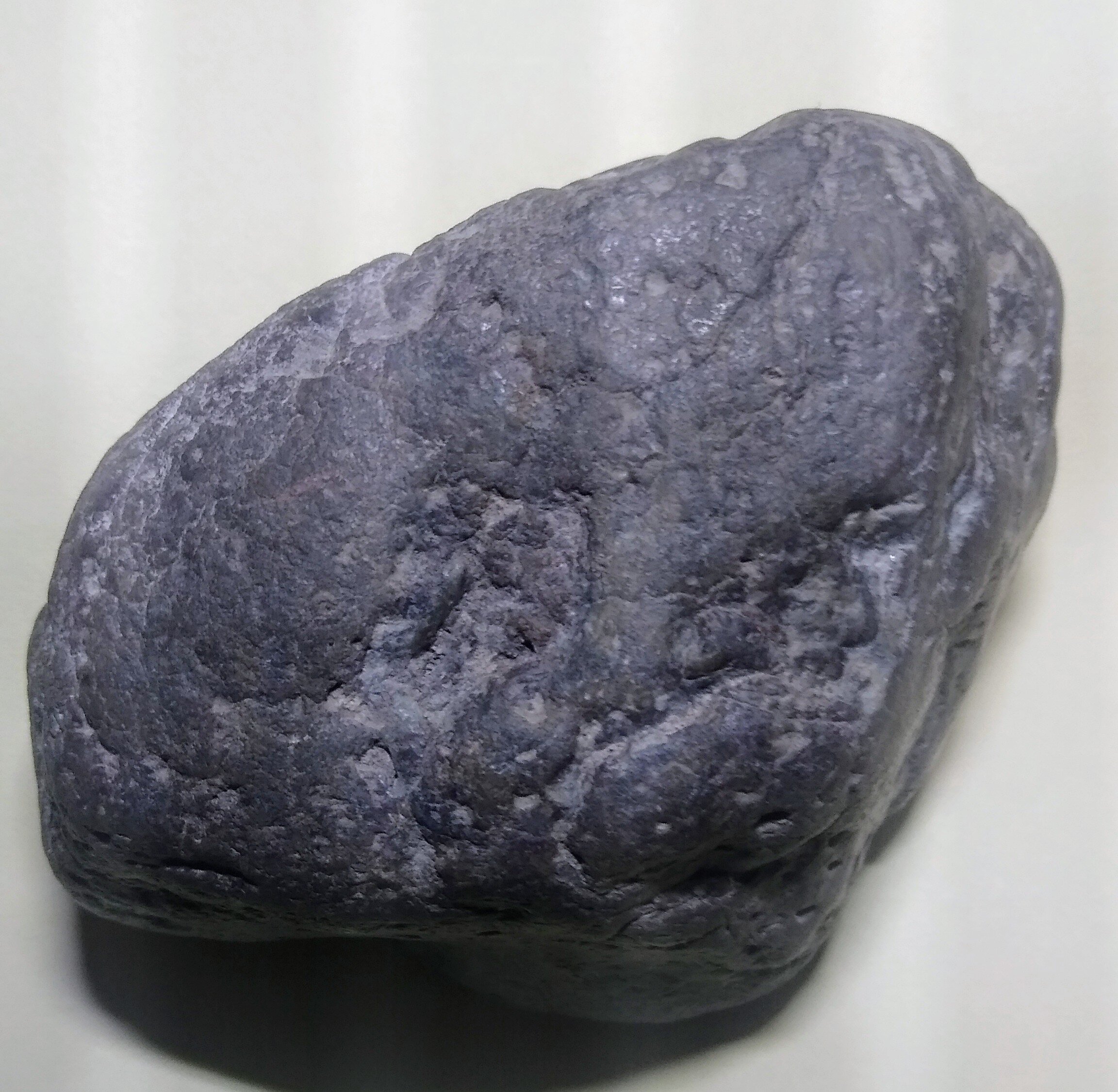 Rock? - Fossil ID - The Fossil Forum