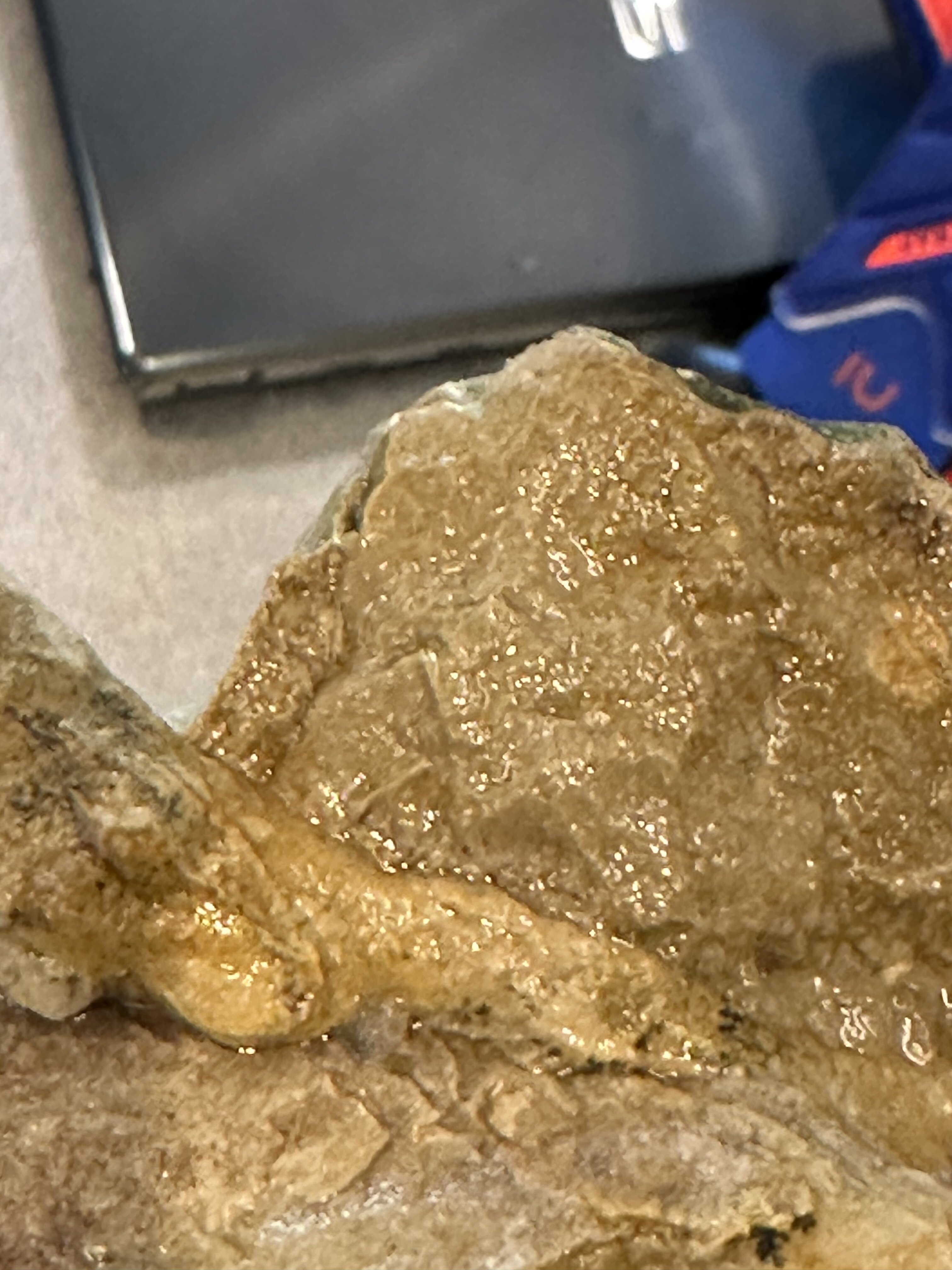 Brachiopods with preserved pedicles - General Fossil Discussion - The ...