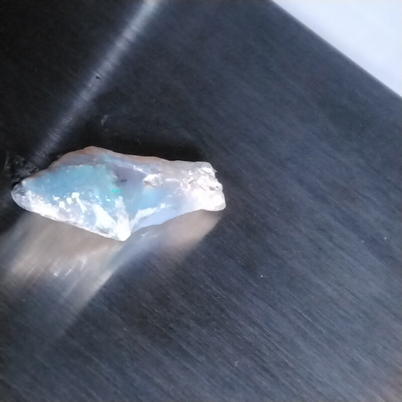 Opalised Dinosaur Tooth Fossil - Fossil ID - The Fossil Forum