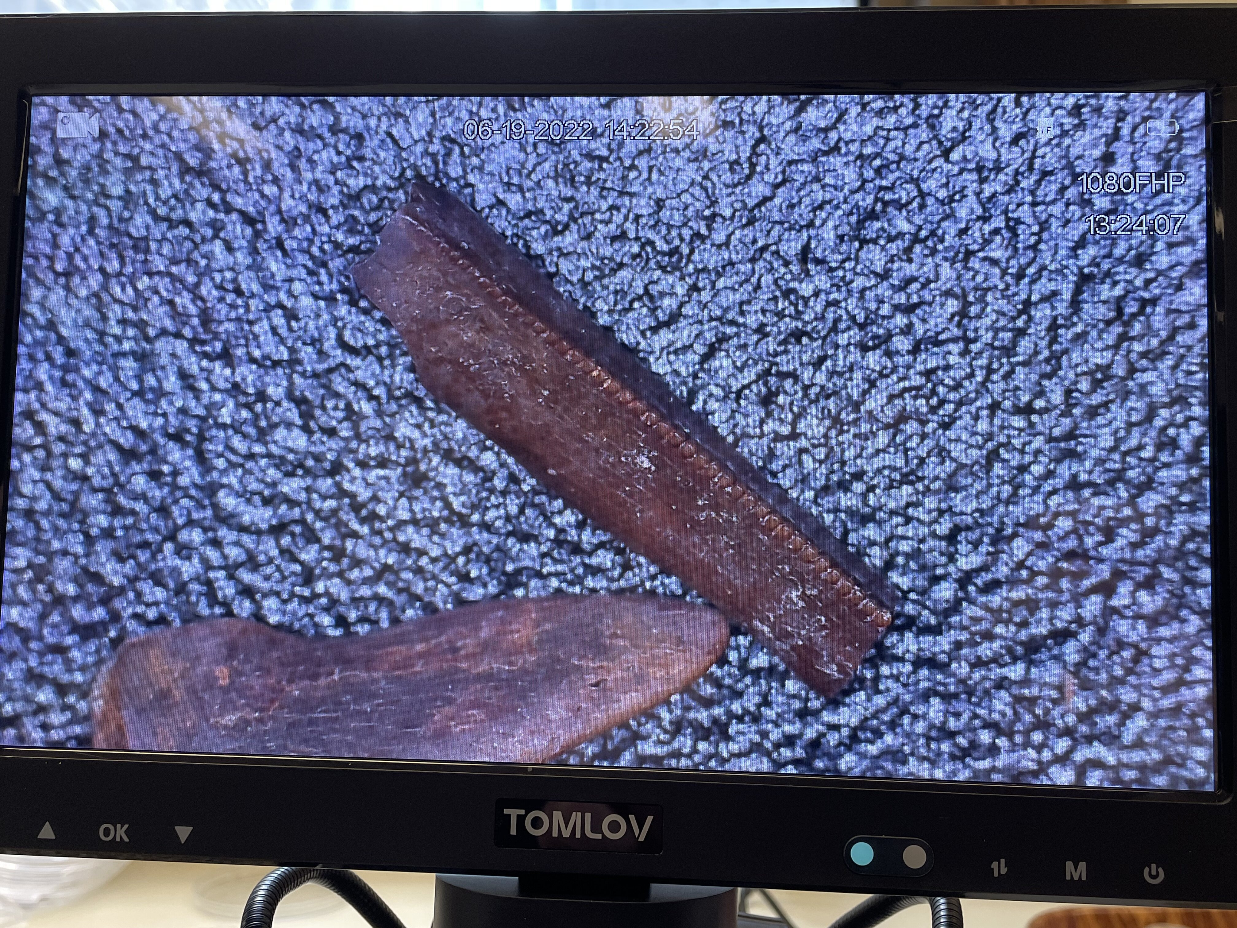 Recent Cretaceous microfossil sorting at the Field Museum of Natural ...