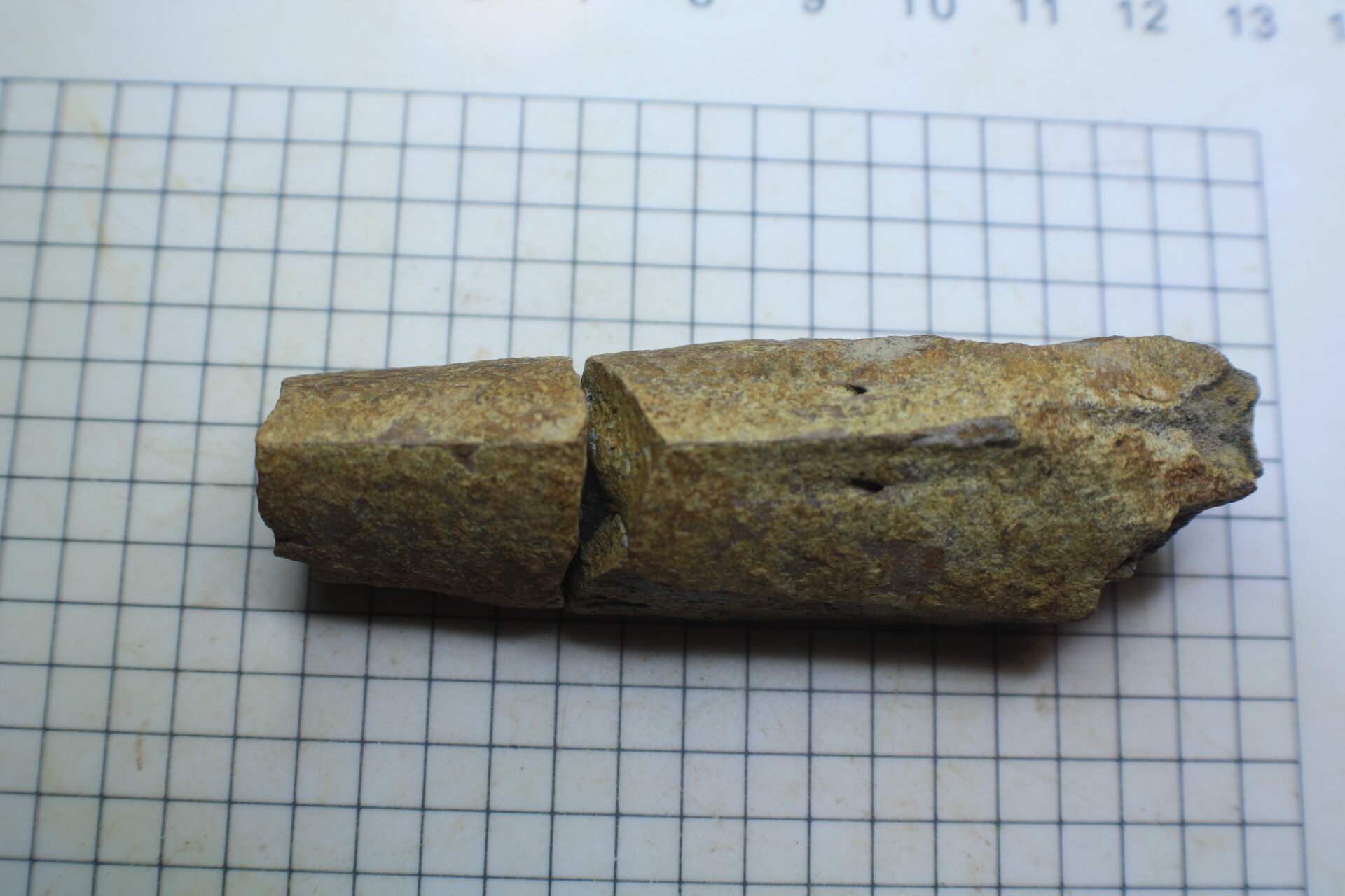 Shark fin spine? - Fossil ID - The Fossil Forum
