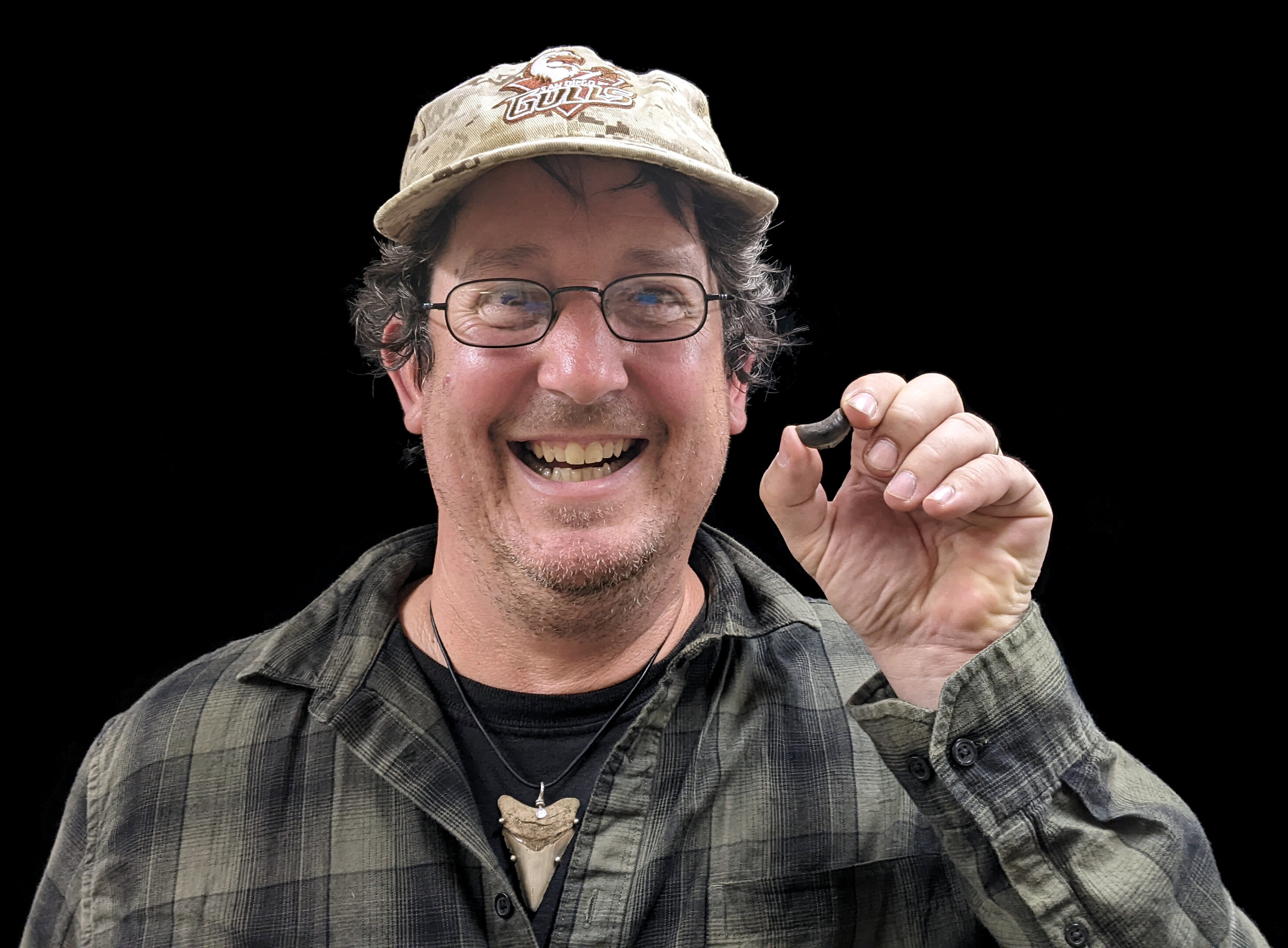 A New Set of Meg Teeth found in the Calvert Cliffs. - Fossil News - The ...
