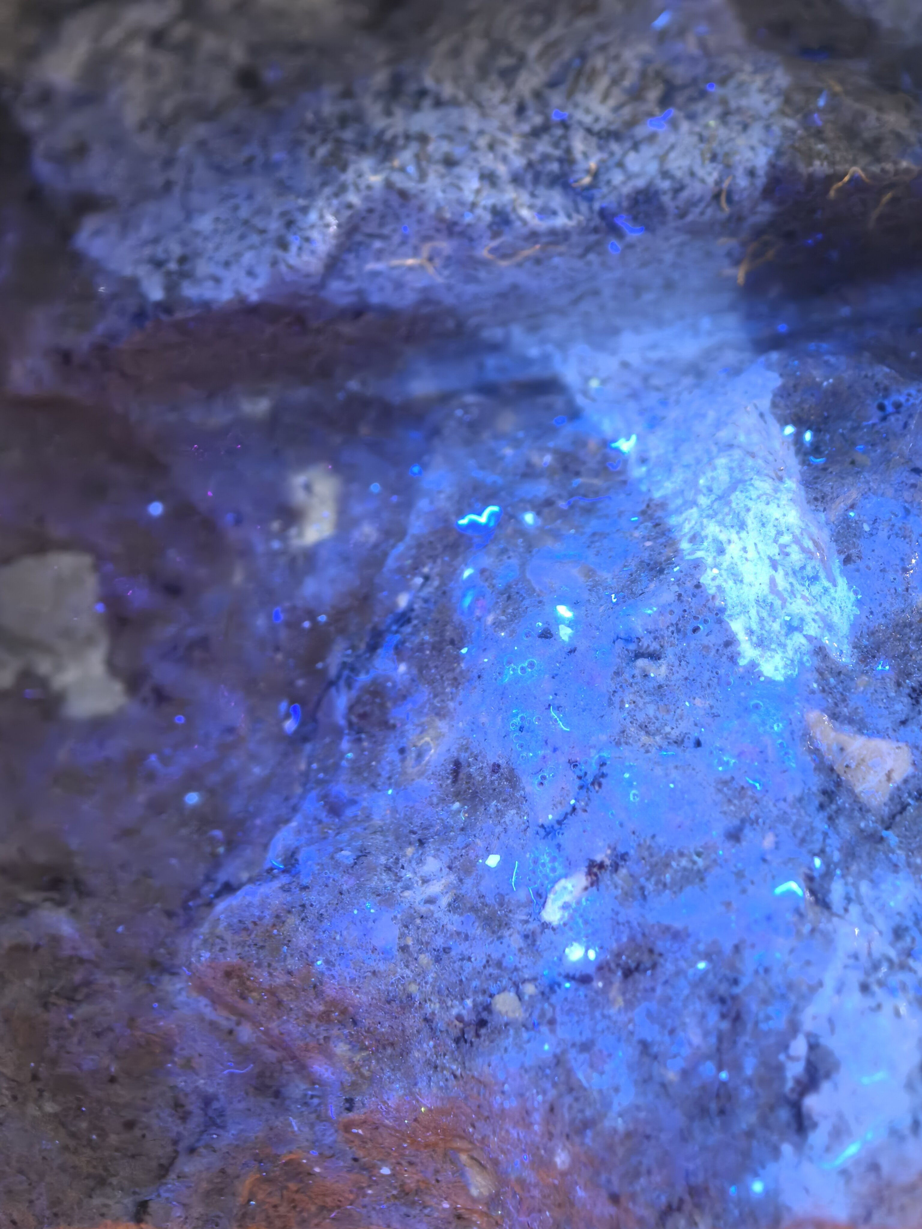 how to prevent dust? - Fossil Preparation - The Fossil Forum