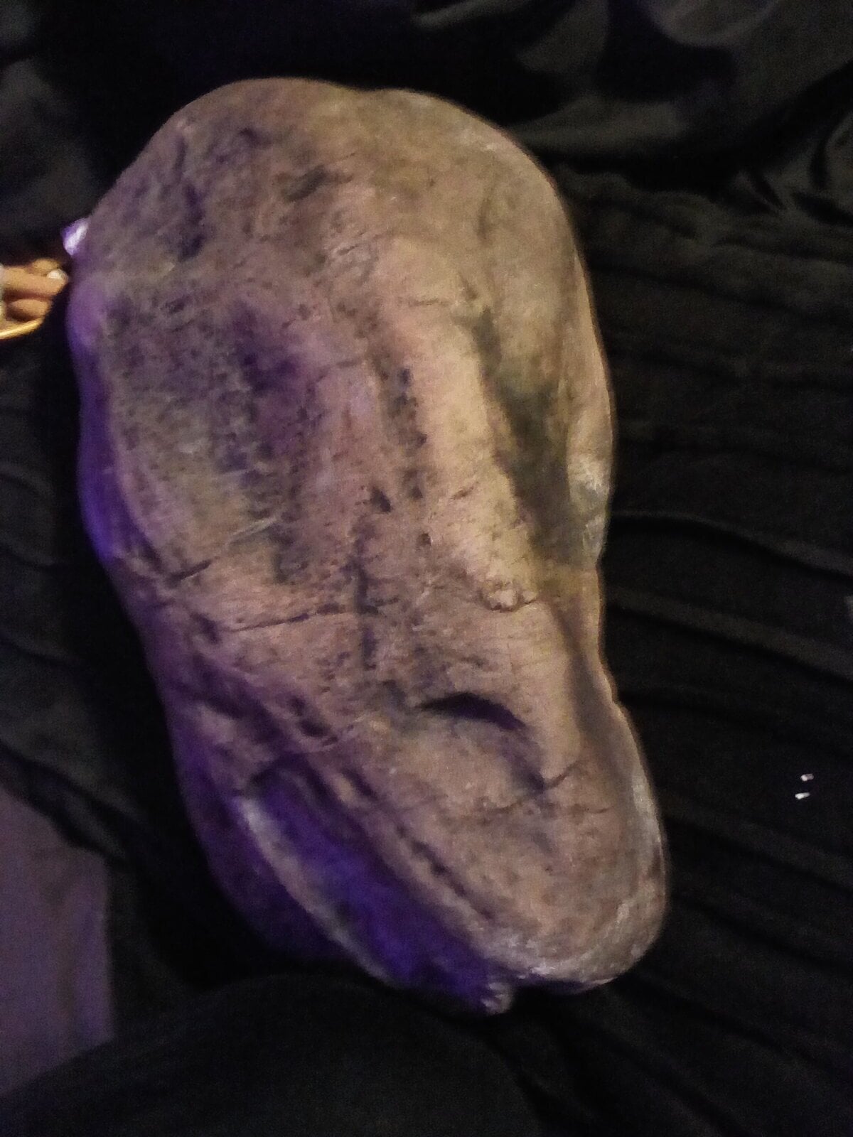 Fossilized dino head???? - Fossil ID - The Fossil Forum