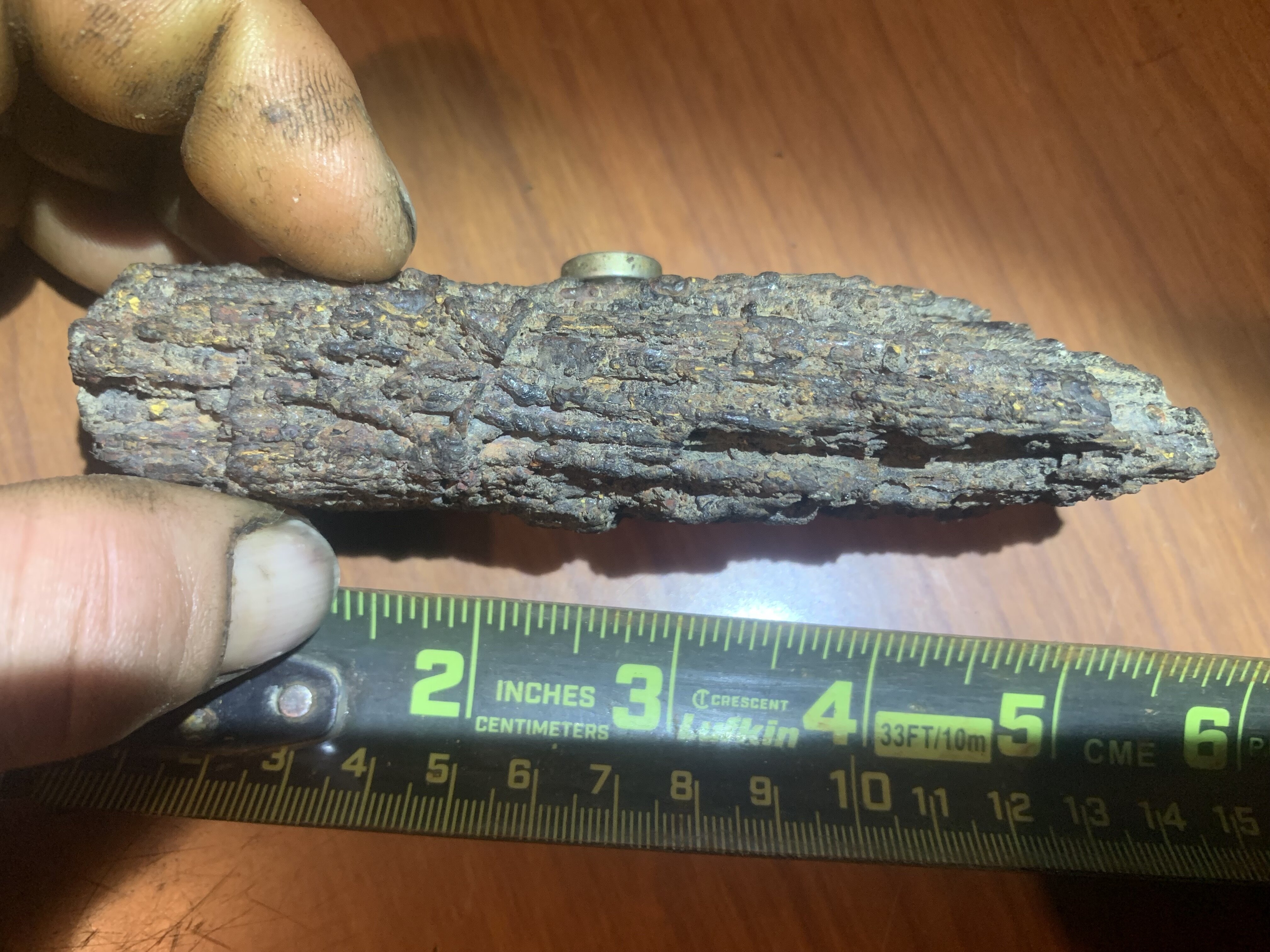 Weird. Fossil? Meteorite? Fossilized steel cable? My weirdest find ...