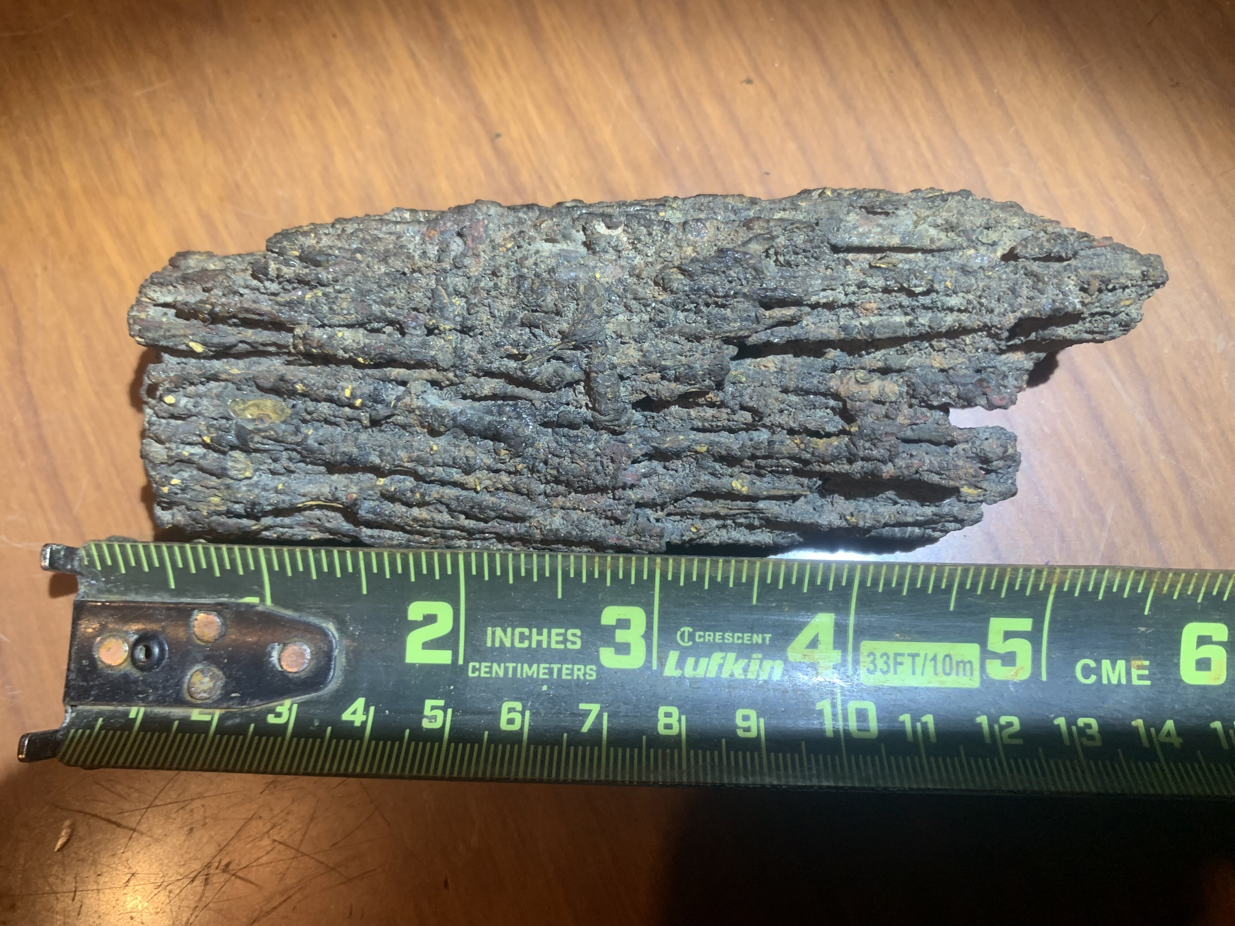 Weird. Fossil? Meteorite? Fossilized steel cable? My weirdest find ...
