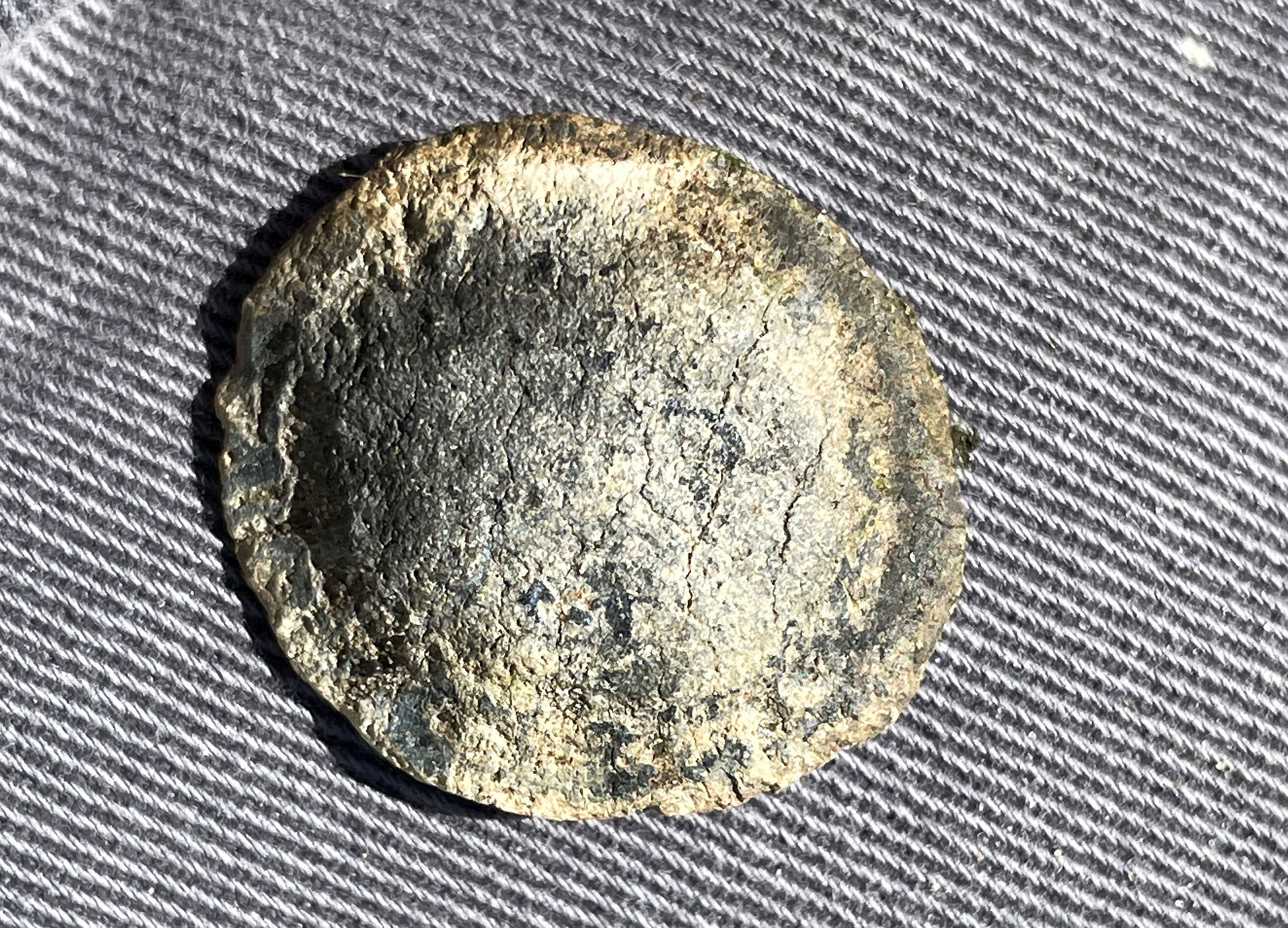 Some small unusual fossils - Fossil ID - The Fossil Forum