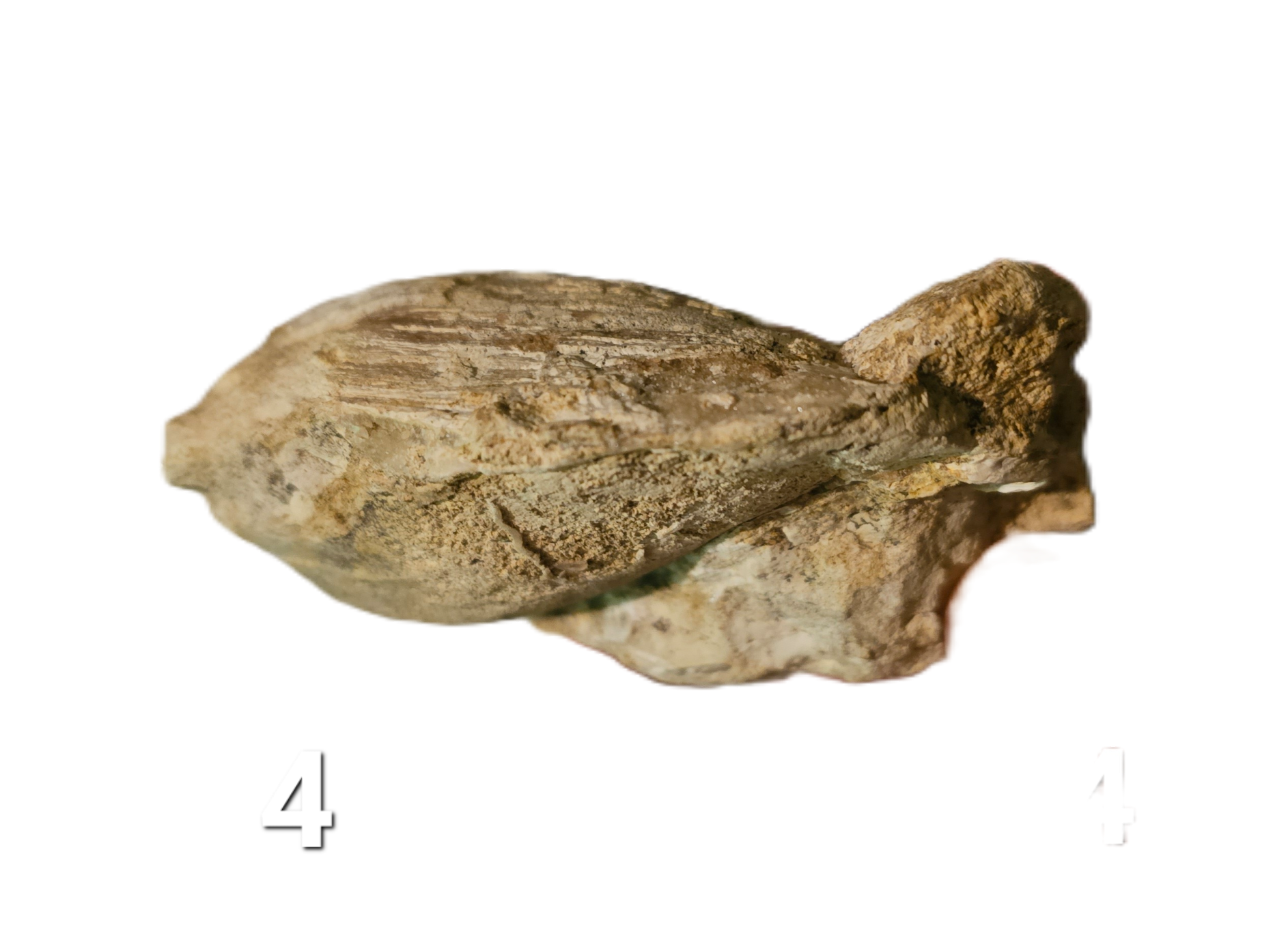 East Midlands, England. Mid Jurassic (Bajocian) sand ironstone ...