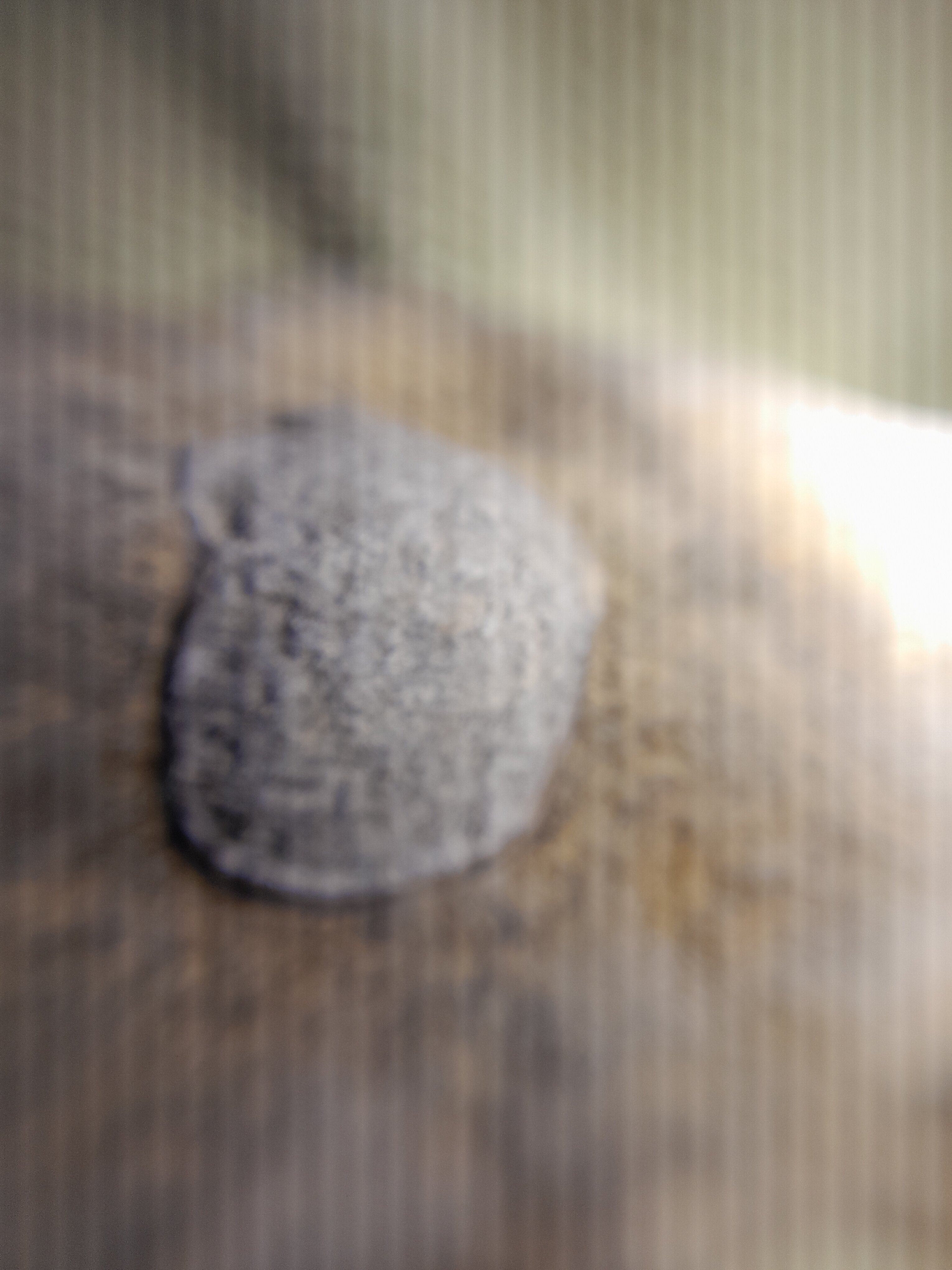 What are these nodes on this rock - Fossil ID - The Fossil Forum