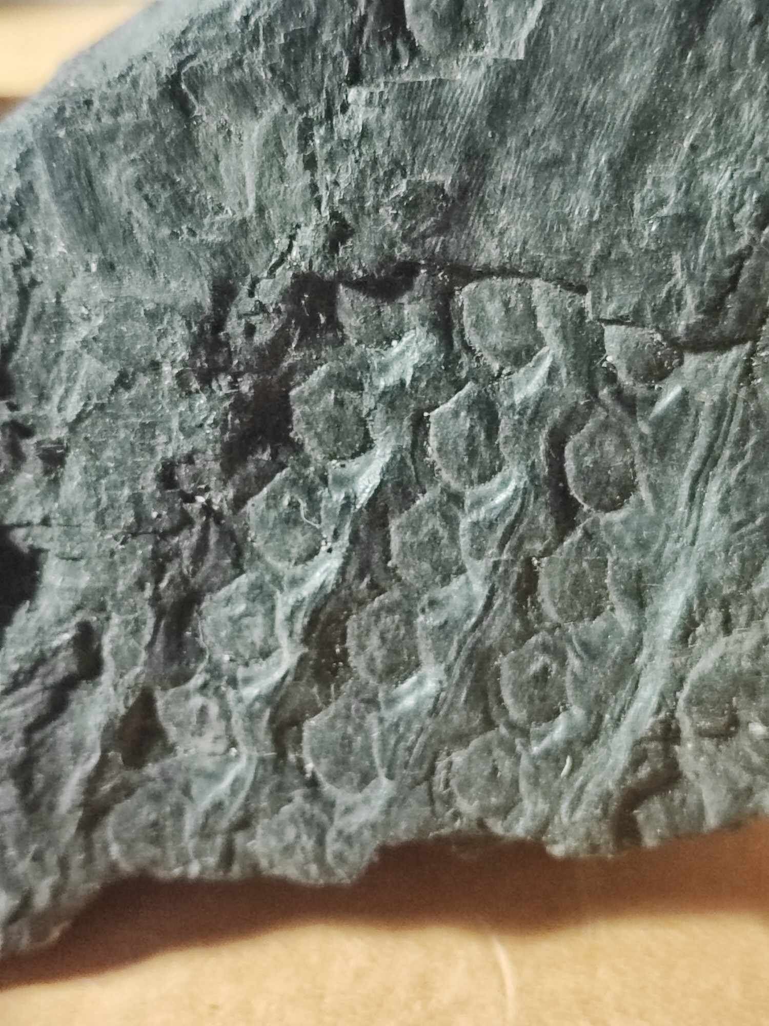 Possible stigmaria of Lepidodendron or Sigillaria - Fossil ID - The ...