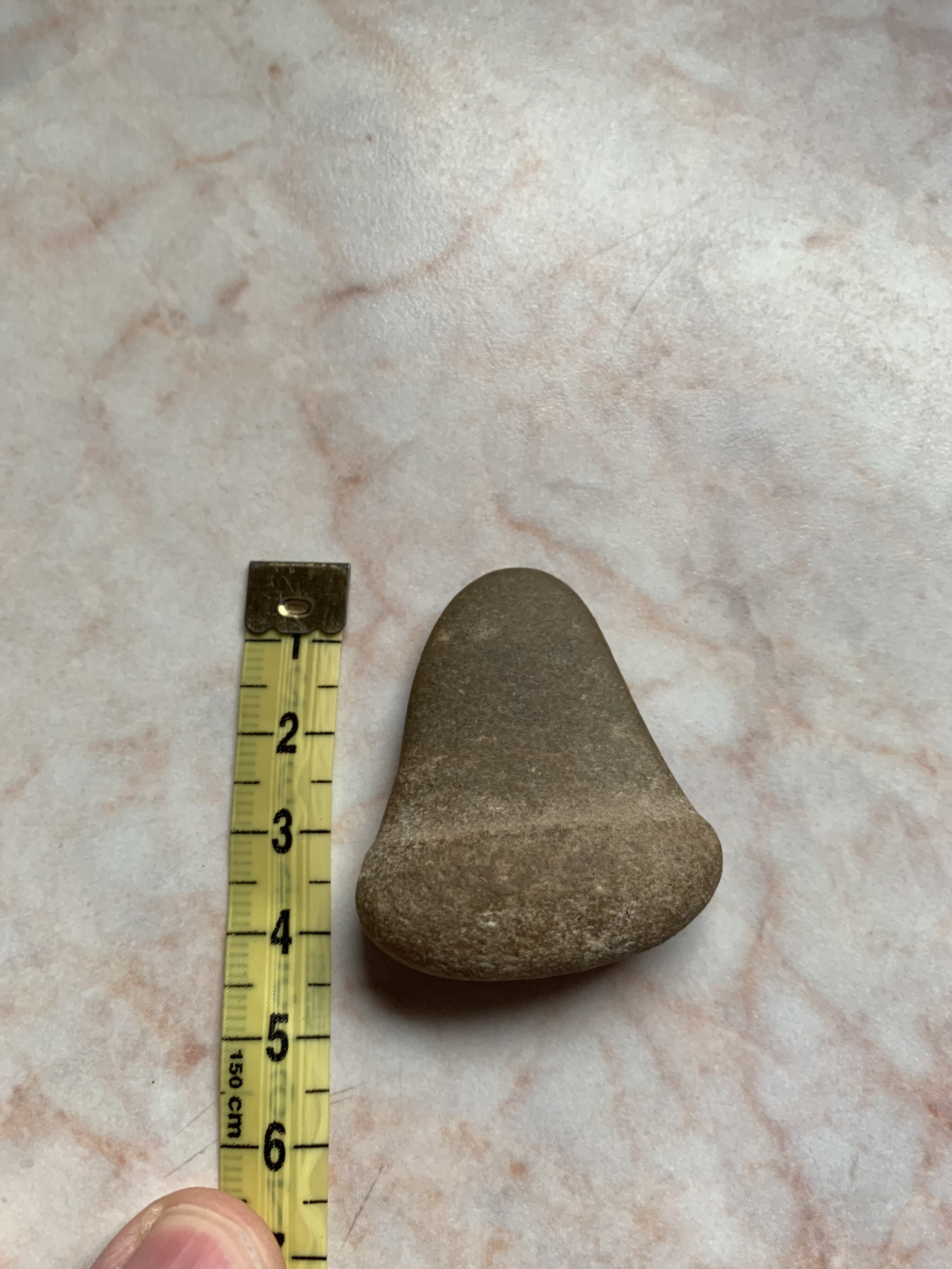 Tooth or stone - Fossil ID - The Fossil Forum