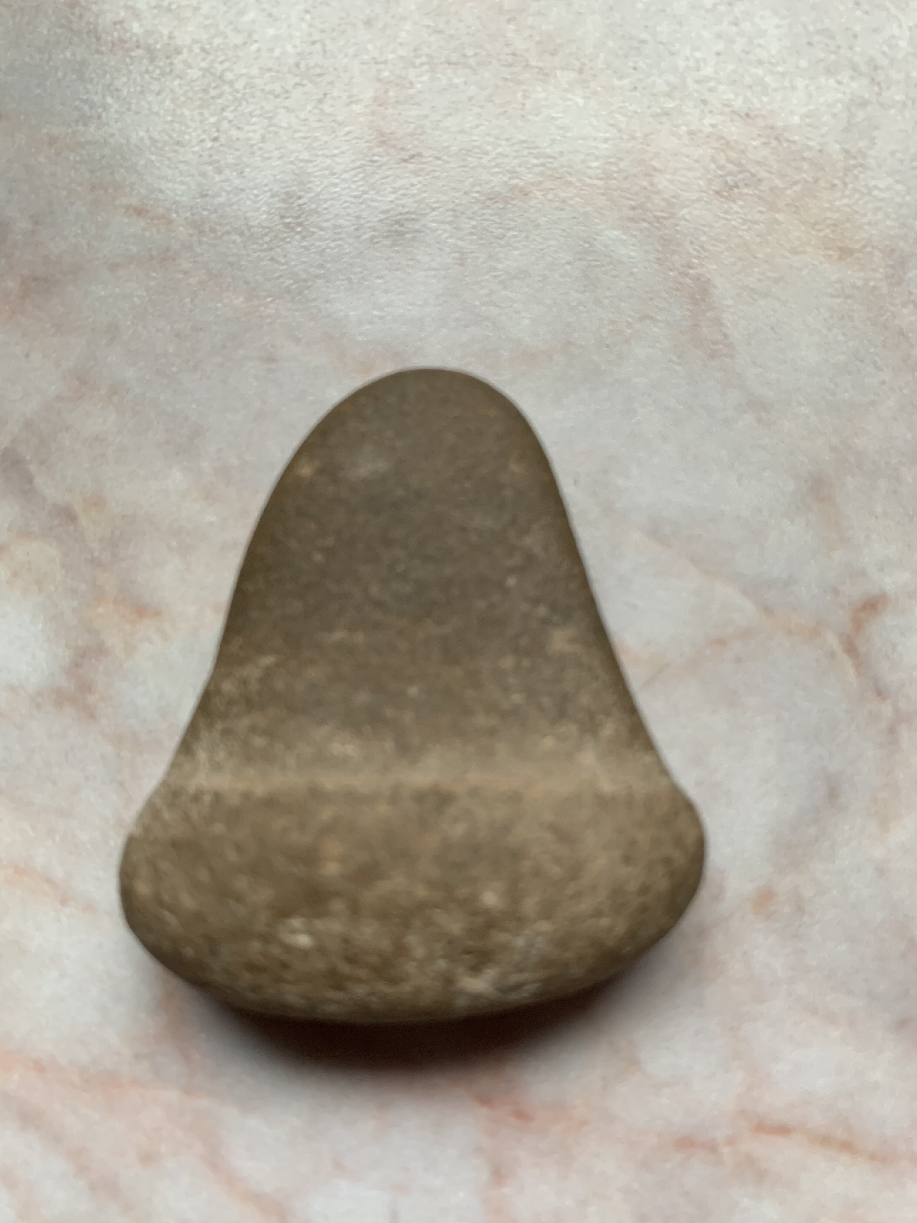 Tooth or stone - Fossil ID - The Fossil Forum