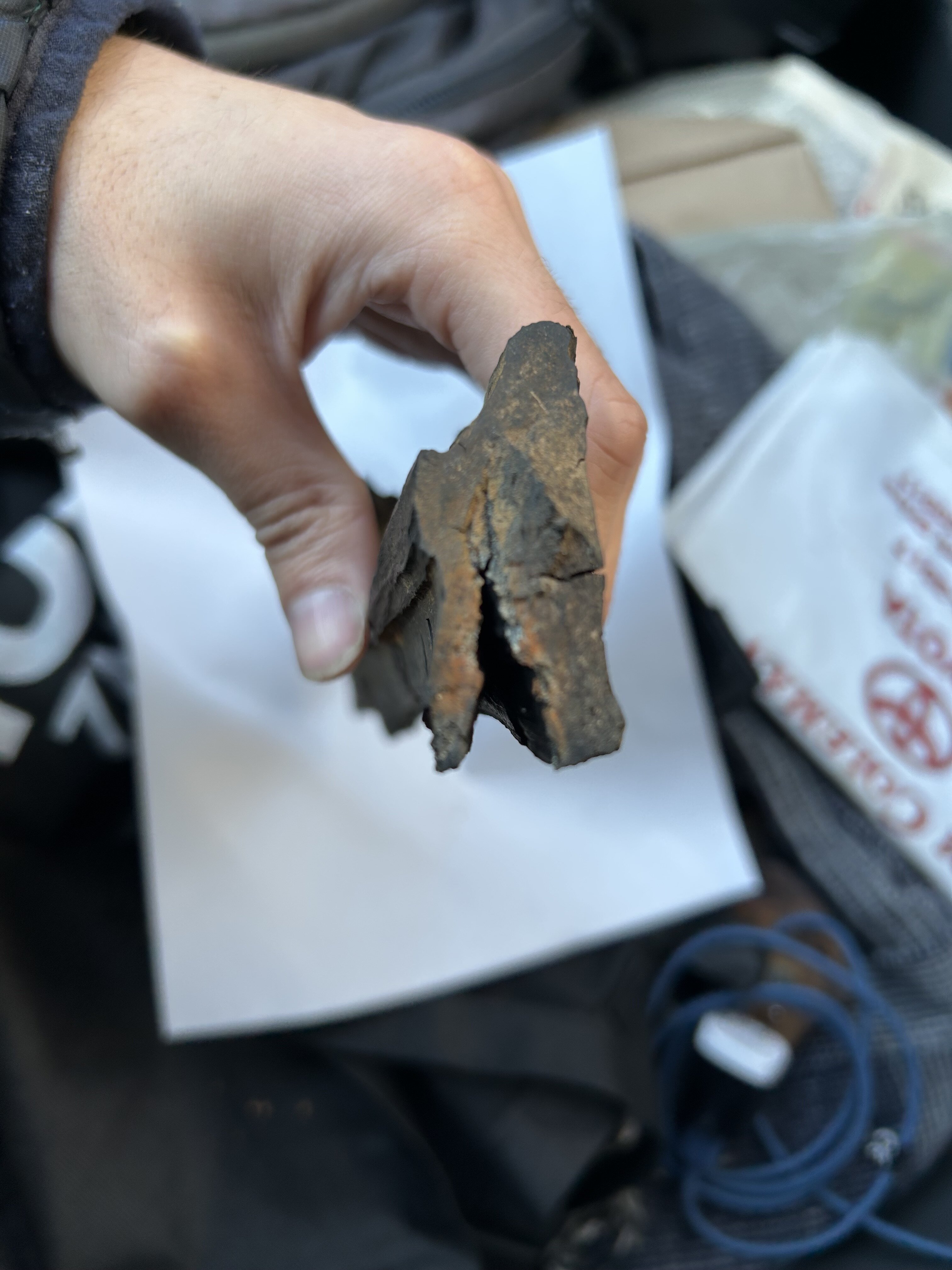 Lignite ID and preservation - Fossil ID - The Fossil Forum