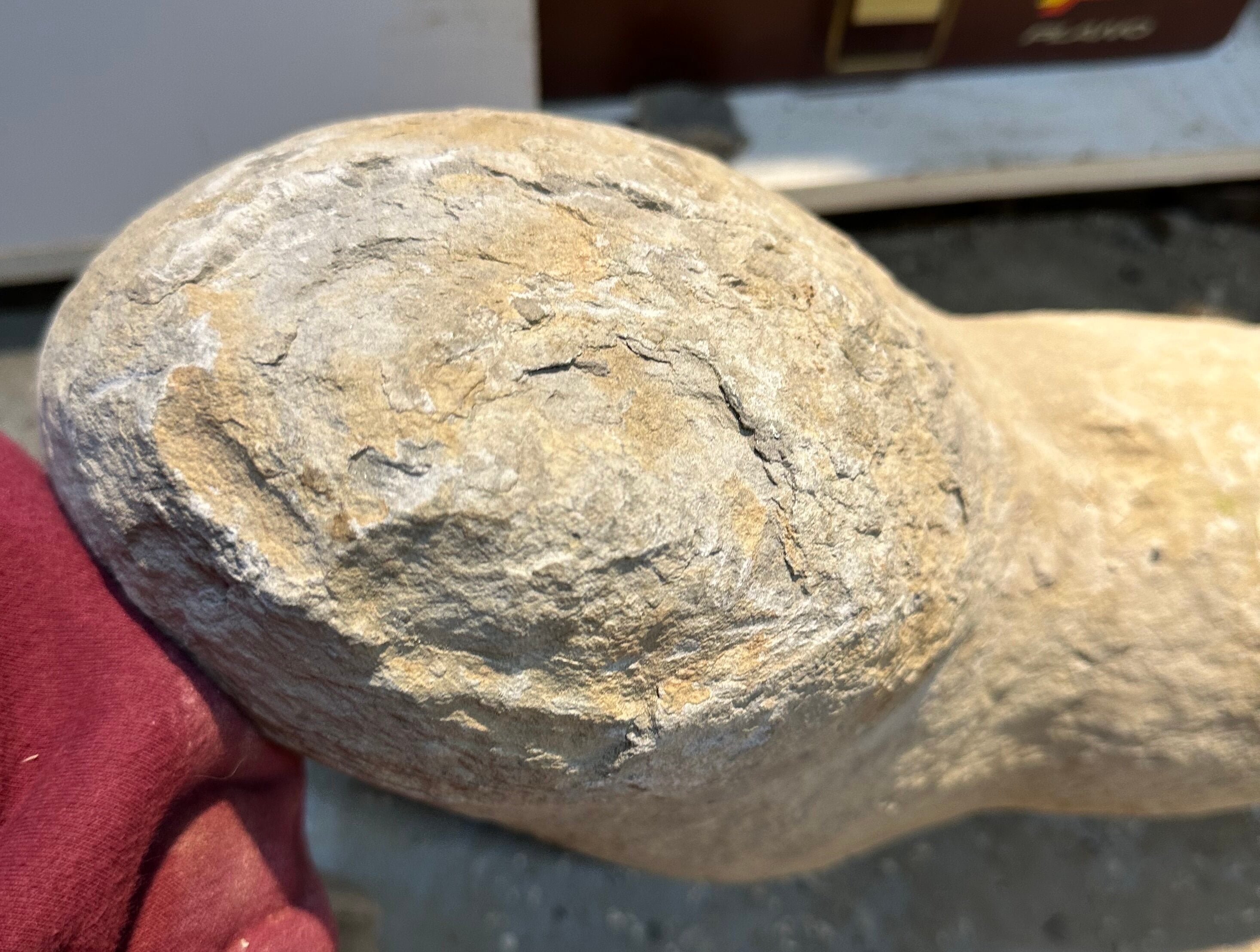 Concretion. Thoughts on What Might be there? Before I Ruin it ...