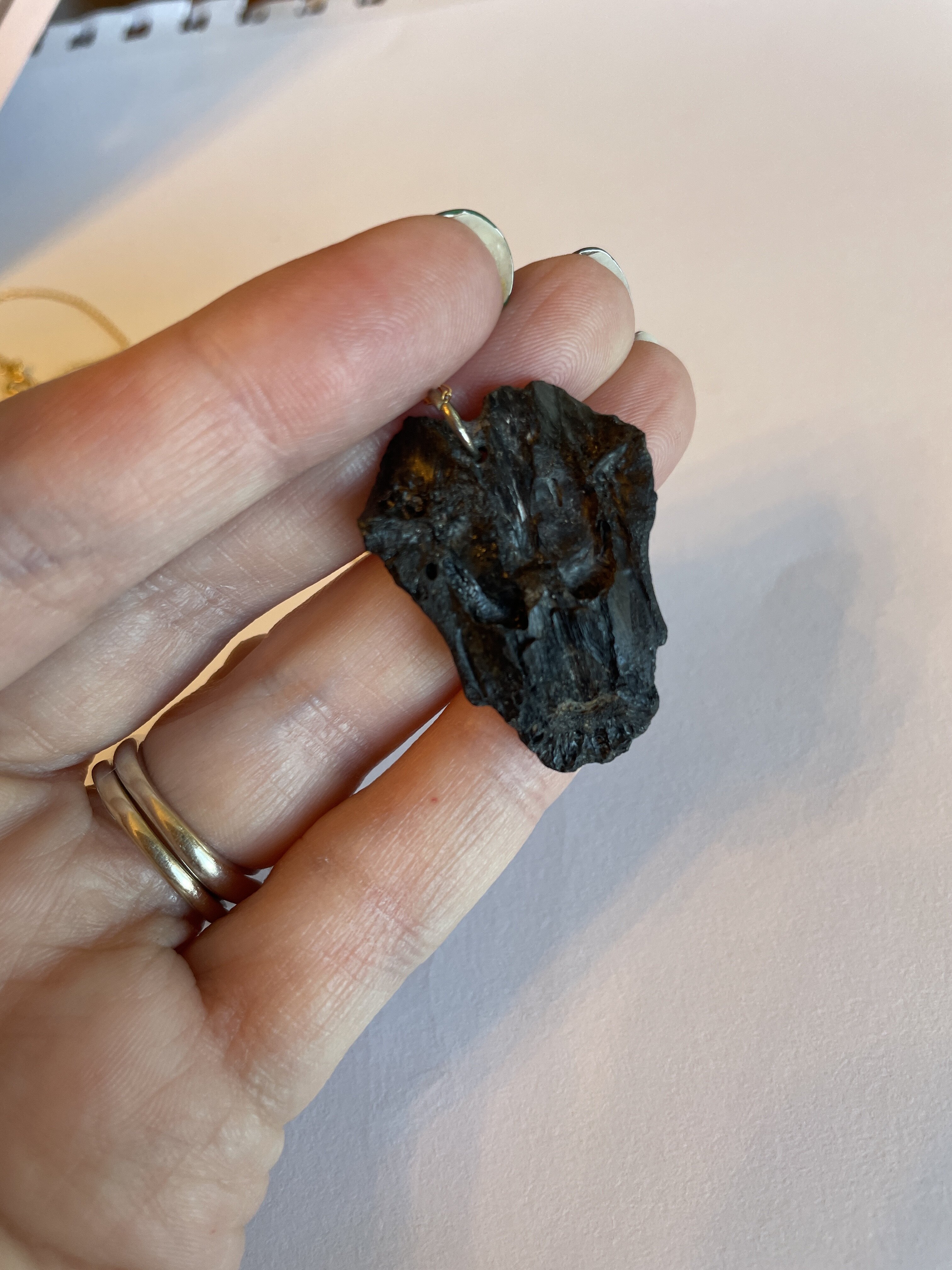 Black Fossilized Bone - Fossil ID - The Fossil Forum