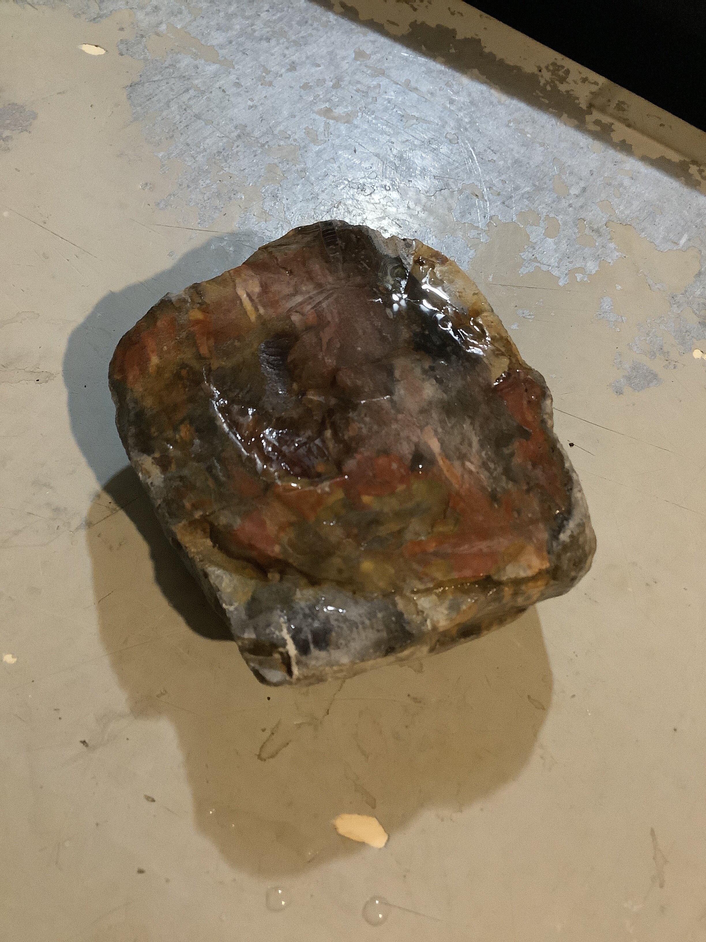 Calvert Cliffs Red Petrified Wood? - Fossil ID - The Fossil Forum