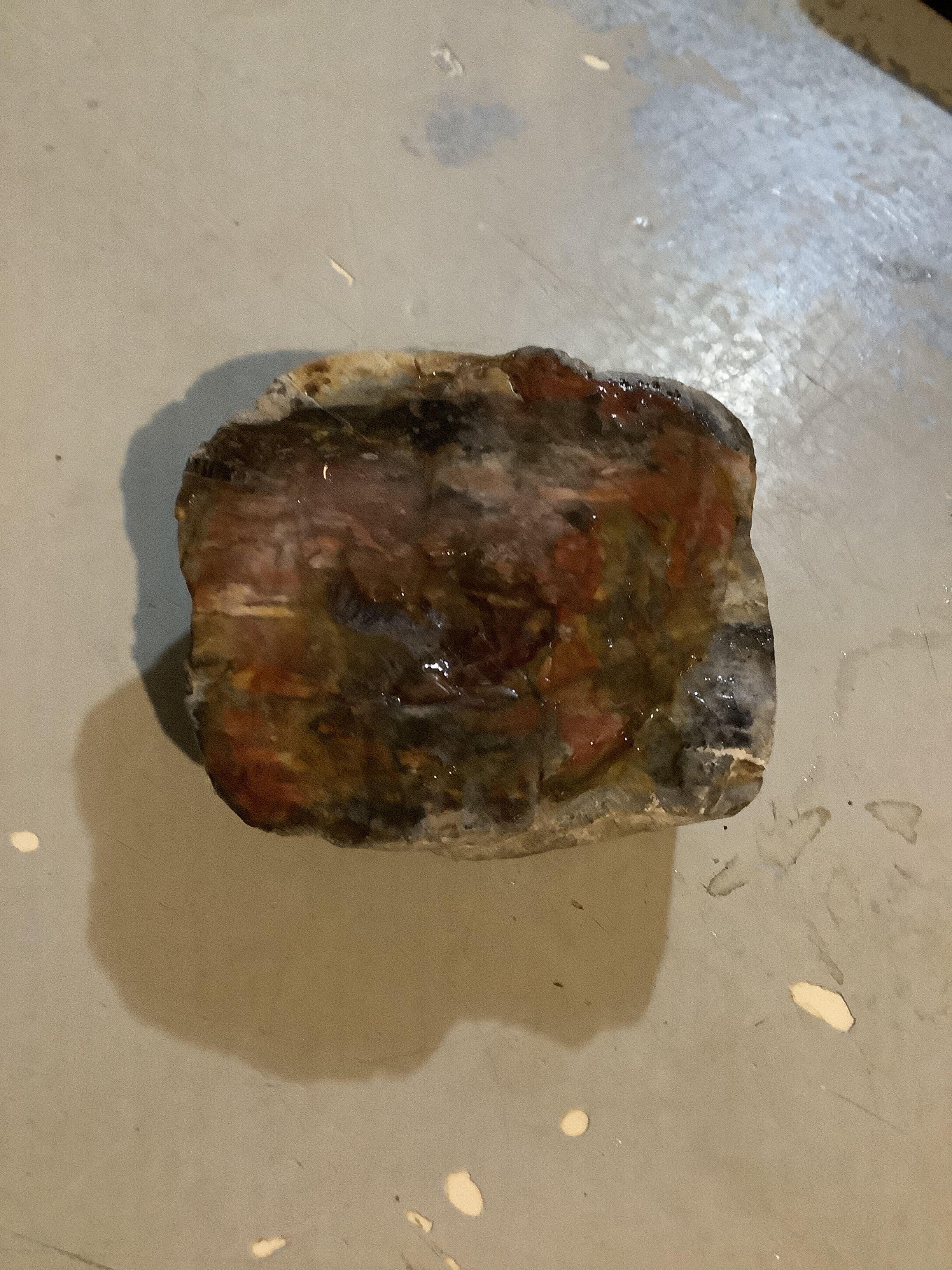 Calvert Cliffs Red Petrified Wood? - Fossil ID - The Fossil Forum
