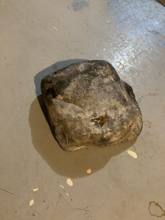 Calvert Cliffs Red Petrified Wood? - Fossil ID - The Fossil Forum