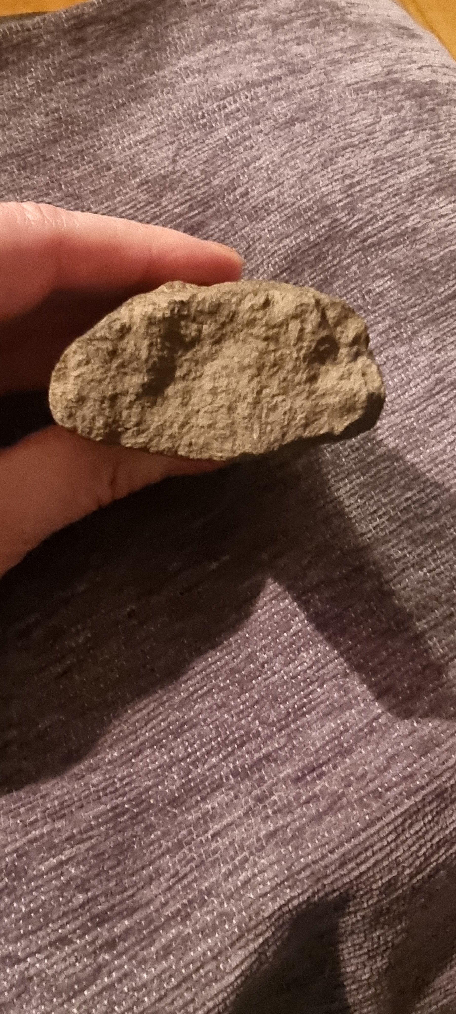 Help to identify - Fossil ID - The Fossil Forum