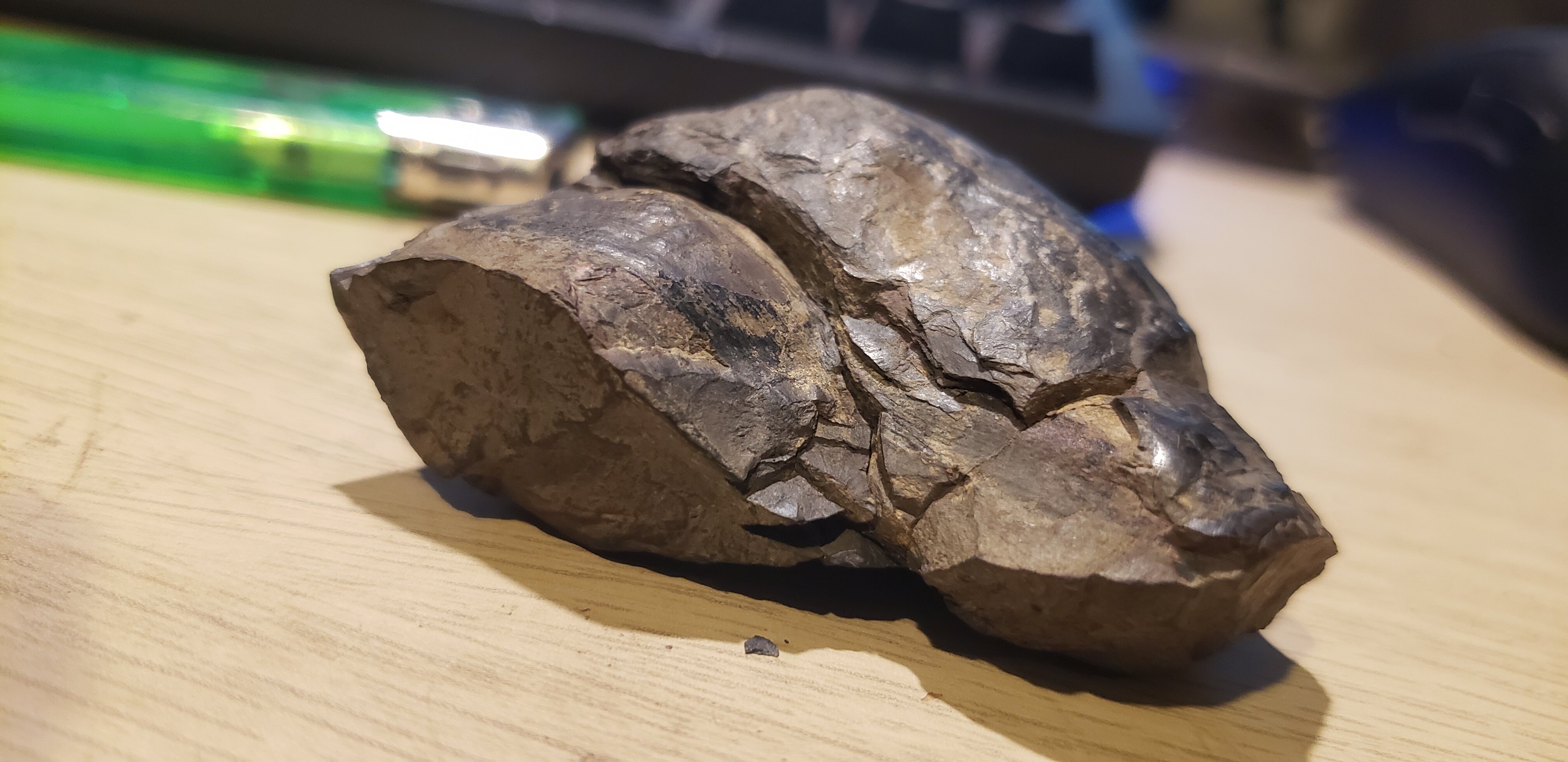 Need help identifying some fossils and tips of preserving. from upper ...