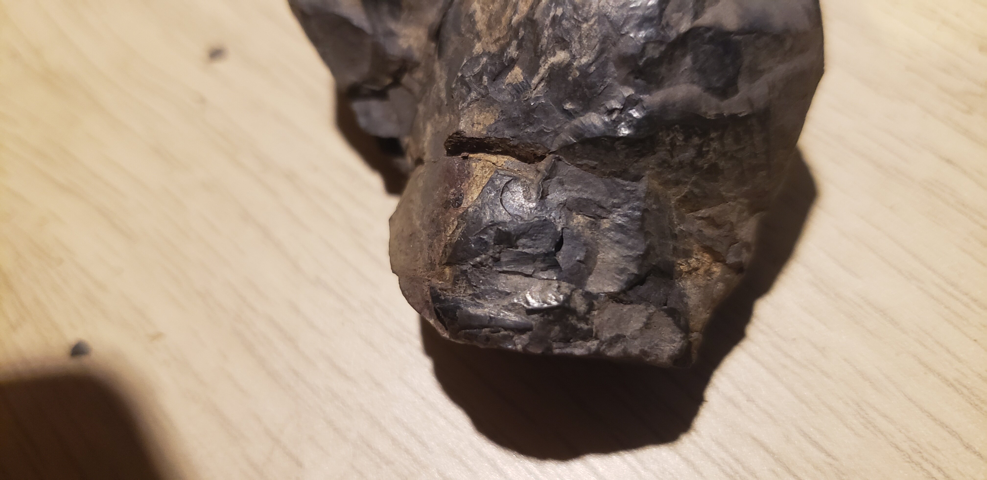 Need help identifying some fossils and tips of preserving. from upper ...