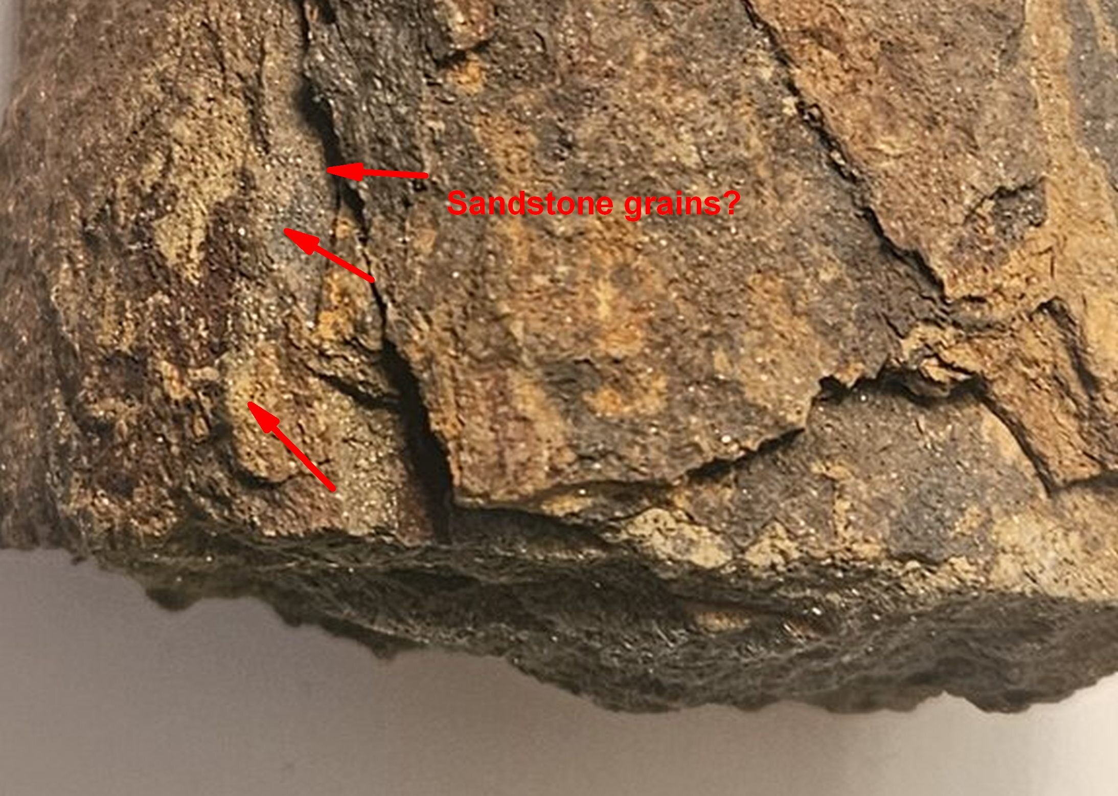 Probably just a "rock", but...... - Fossil ID - The Fossil Forum