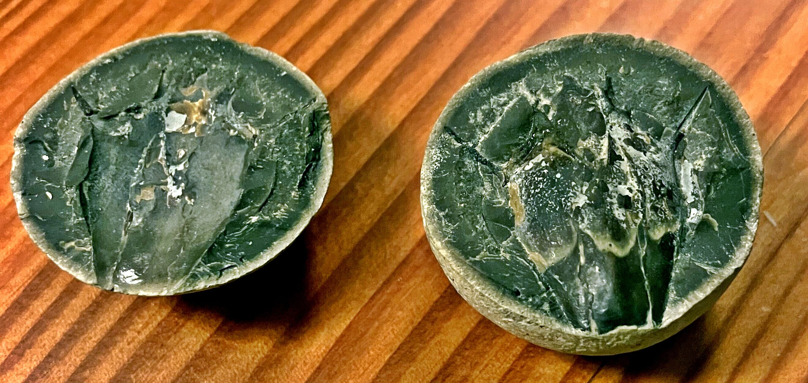 Oregon coast range fossil (?) ID - Fossil ID - The Fossil Forum