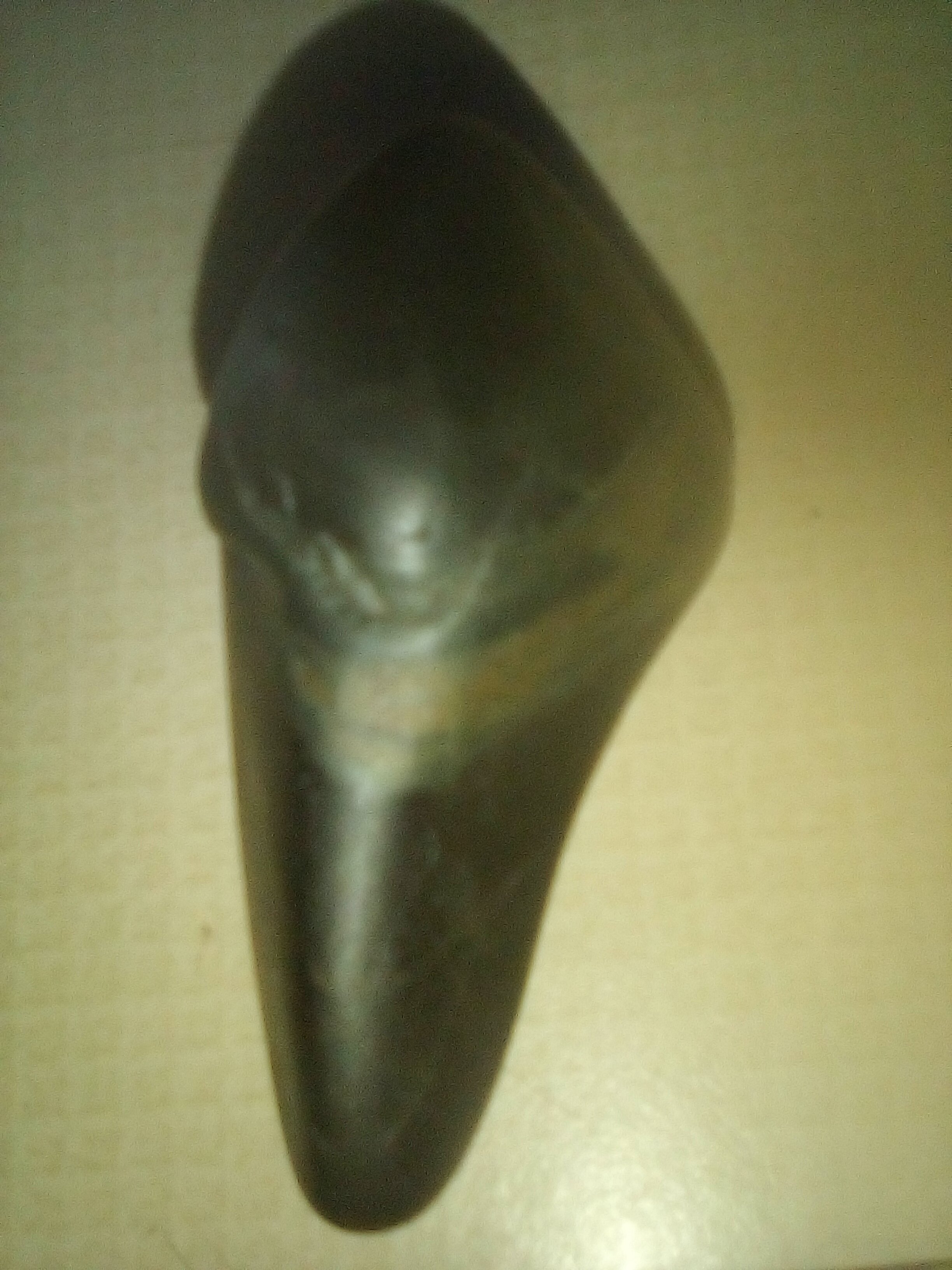 Fossils - Fossil ID - The Fossil Forum