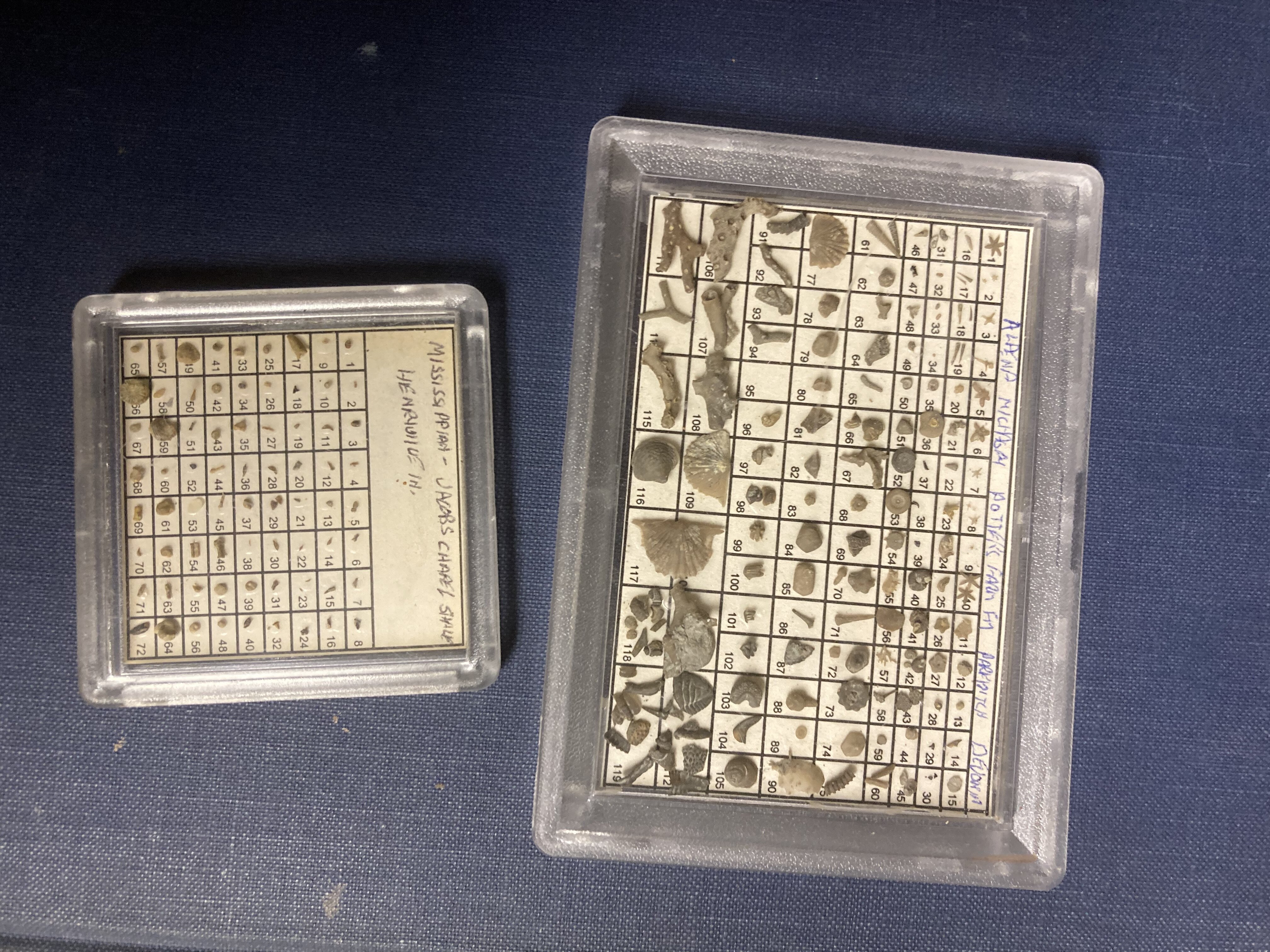 Microfossils slides - Micro-paleontology - The Fossil Forum