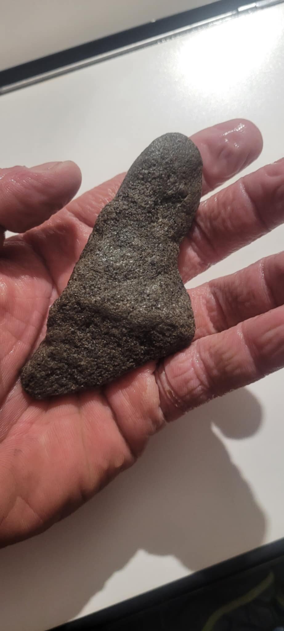 Rocks or teeth? - Fossil ID - The Fossil Forum