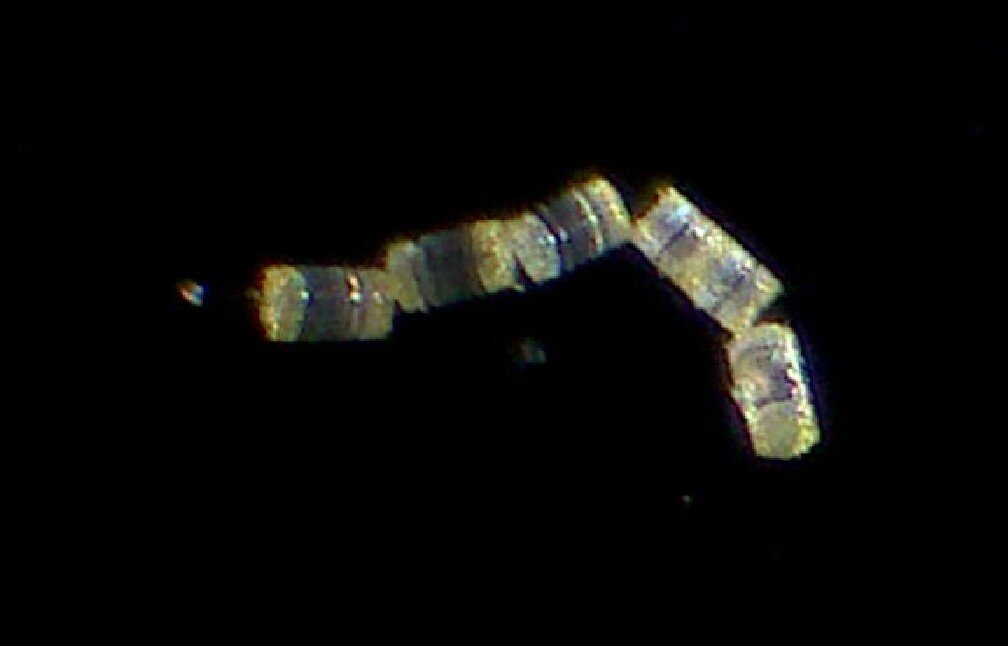 Micro Fossil ID - Fossil ID - The Fossil Forum
