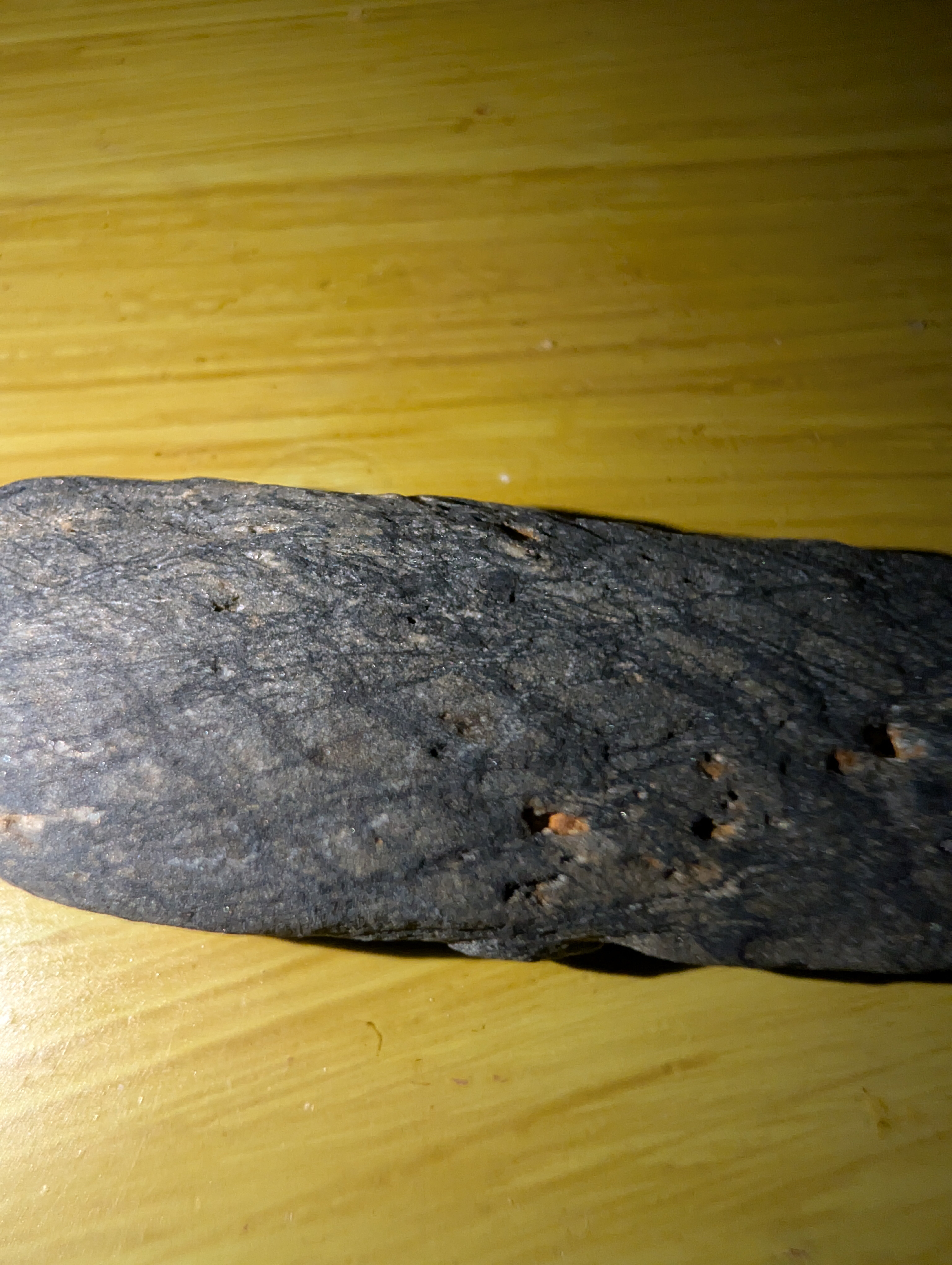 Scale pattern on rock or petrified wood.? - Fossil ID - The Fossil Forum