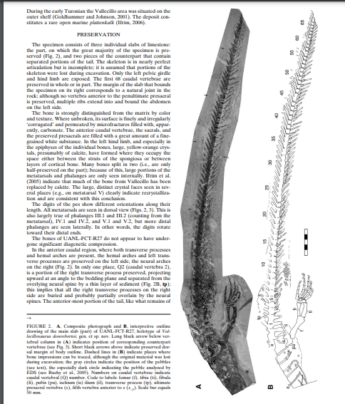 Ranking the greatest lagerstatten per period - General Fossil ...