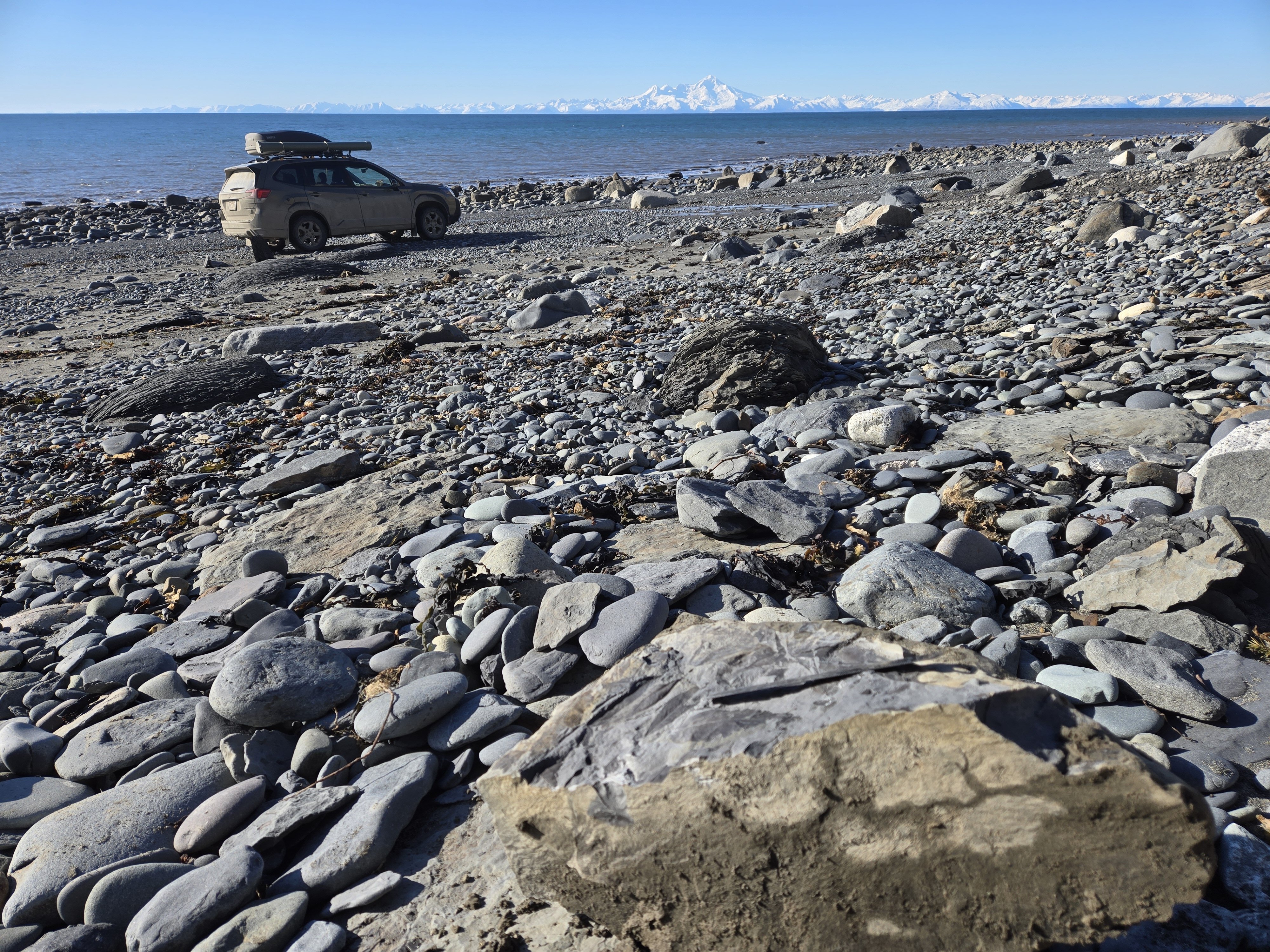 A surprising Alaska trip! - Fossil Hunting Trips - The Fossil Forum