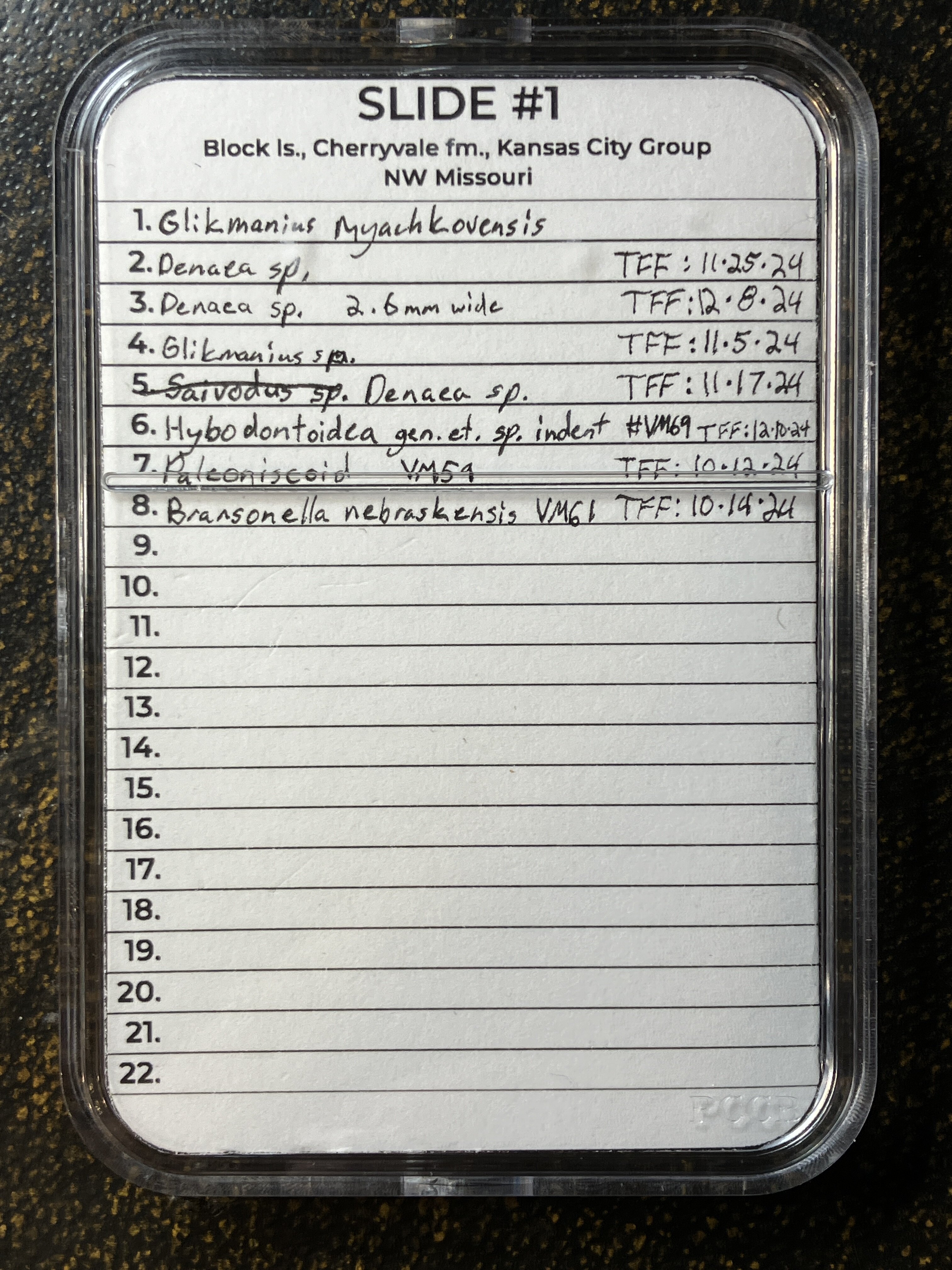 Microfossils slides - Micro-paleontology - The Fossil Forum